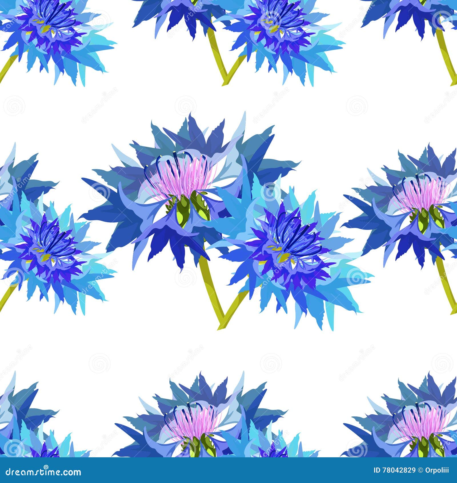 Seamless Pattern of Wild Flowers Cornflower Couple. Vector Illus Stock Vector - Illustration of ...