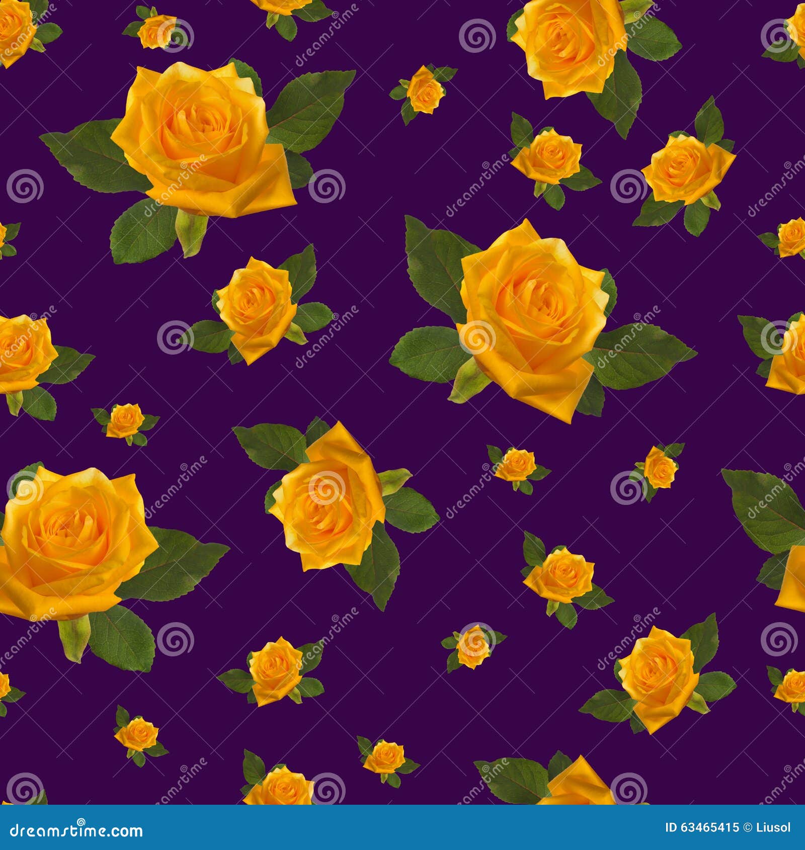 Seamless Pattern Yellow Rose Stock Image - Image of yellow, background ...