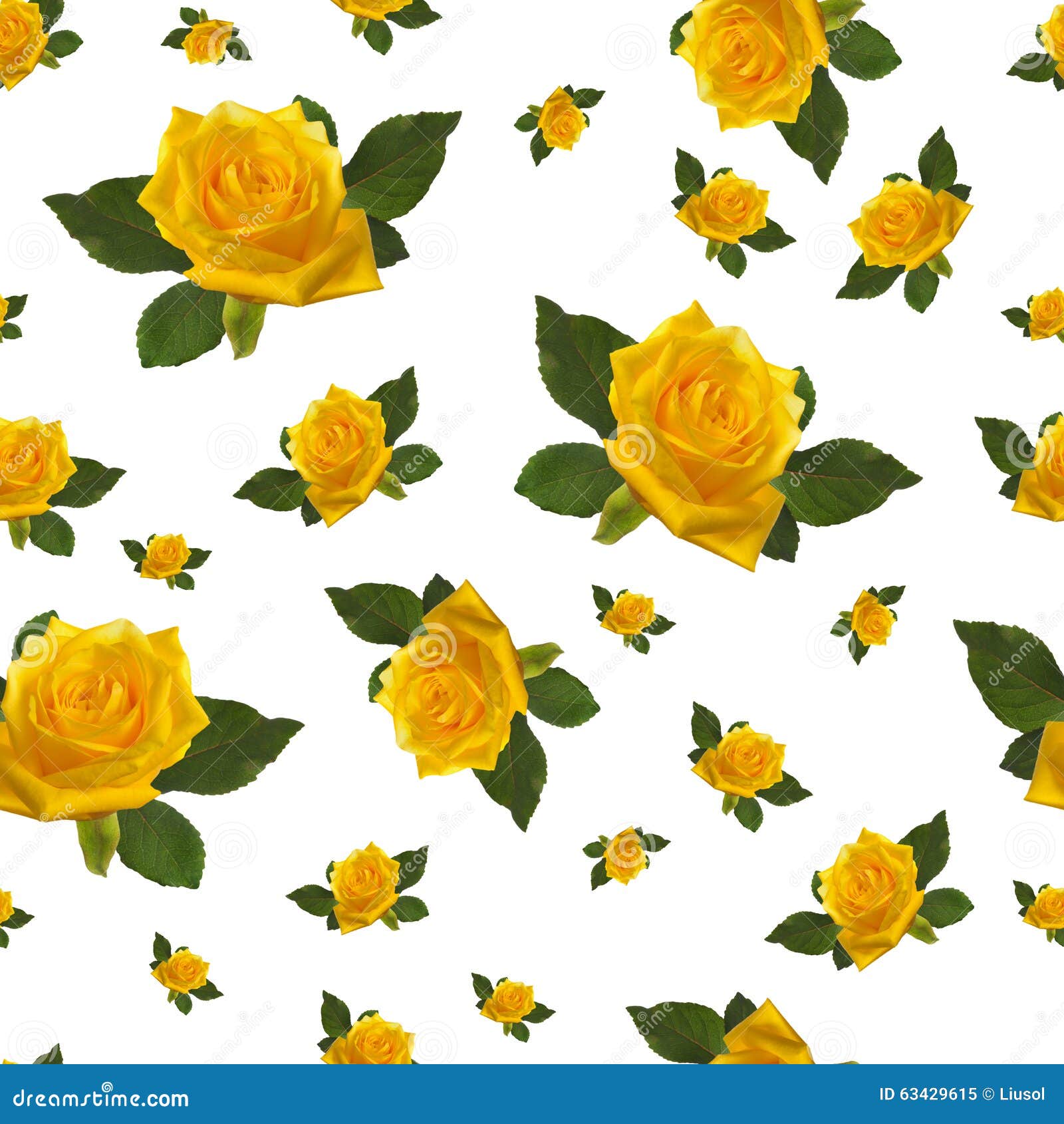 Seamless Pattern Yellow Rose Stock Image - Image of leaves, nature ...