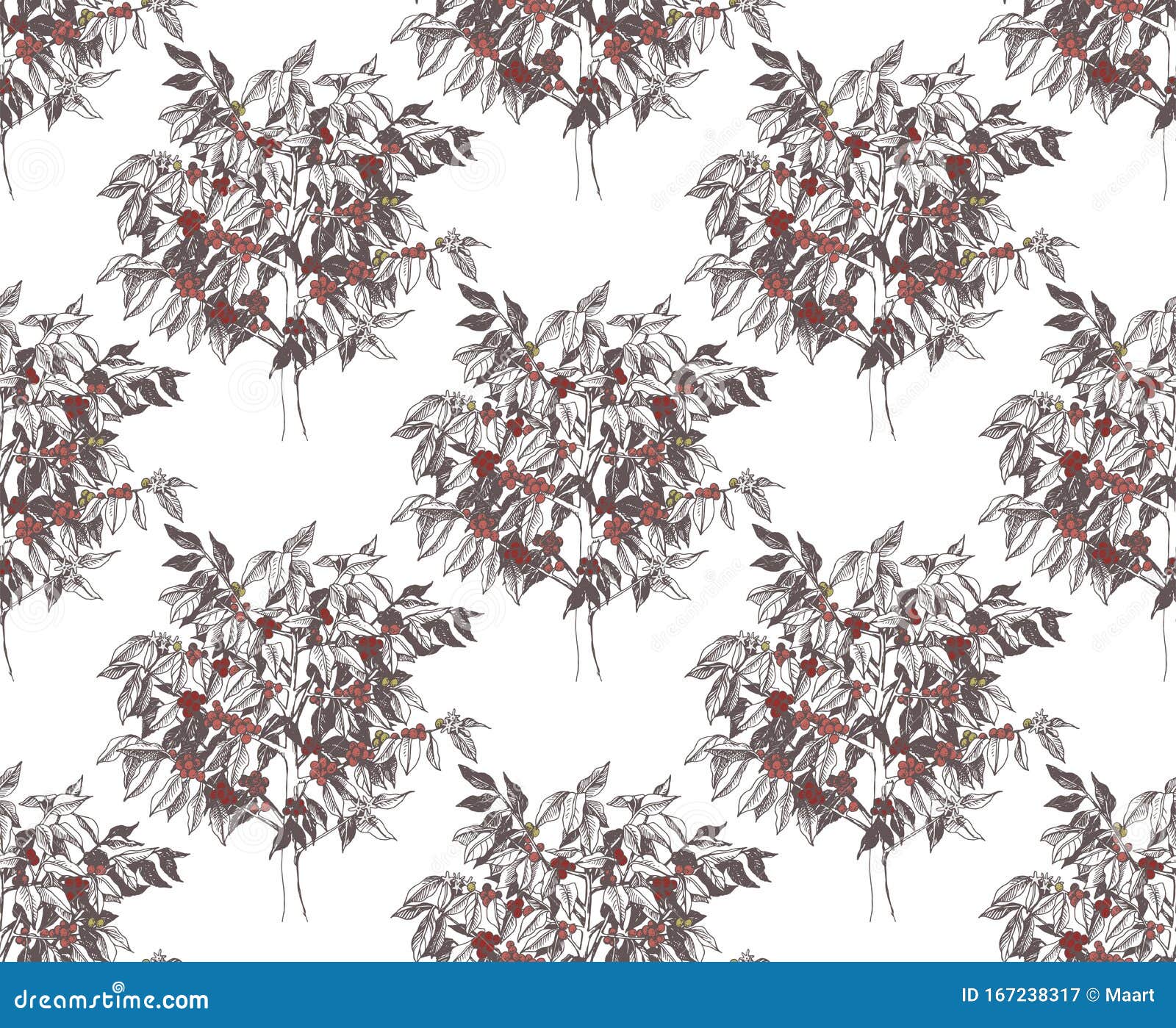 Seamless Pattern with Young Arabica Coffee Trees Stock Vector ...