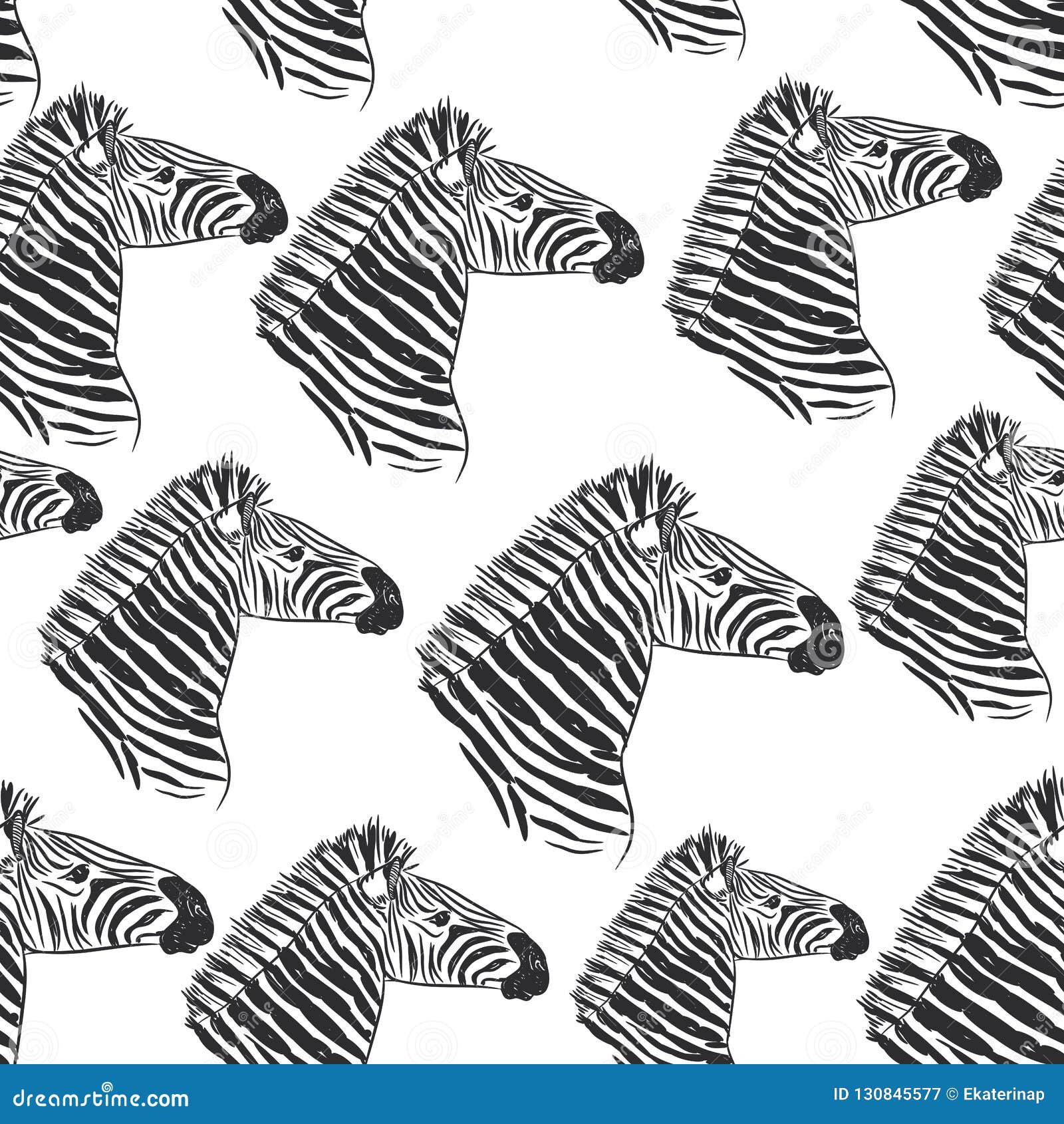 Seamless Pattern Zebra Portrait, Head Sketch Isolated on White ...