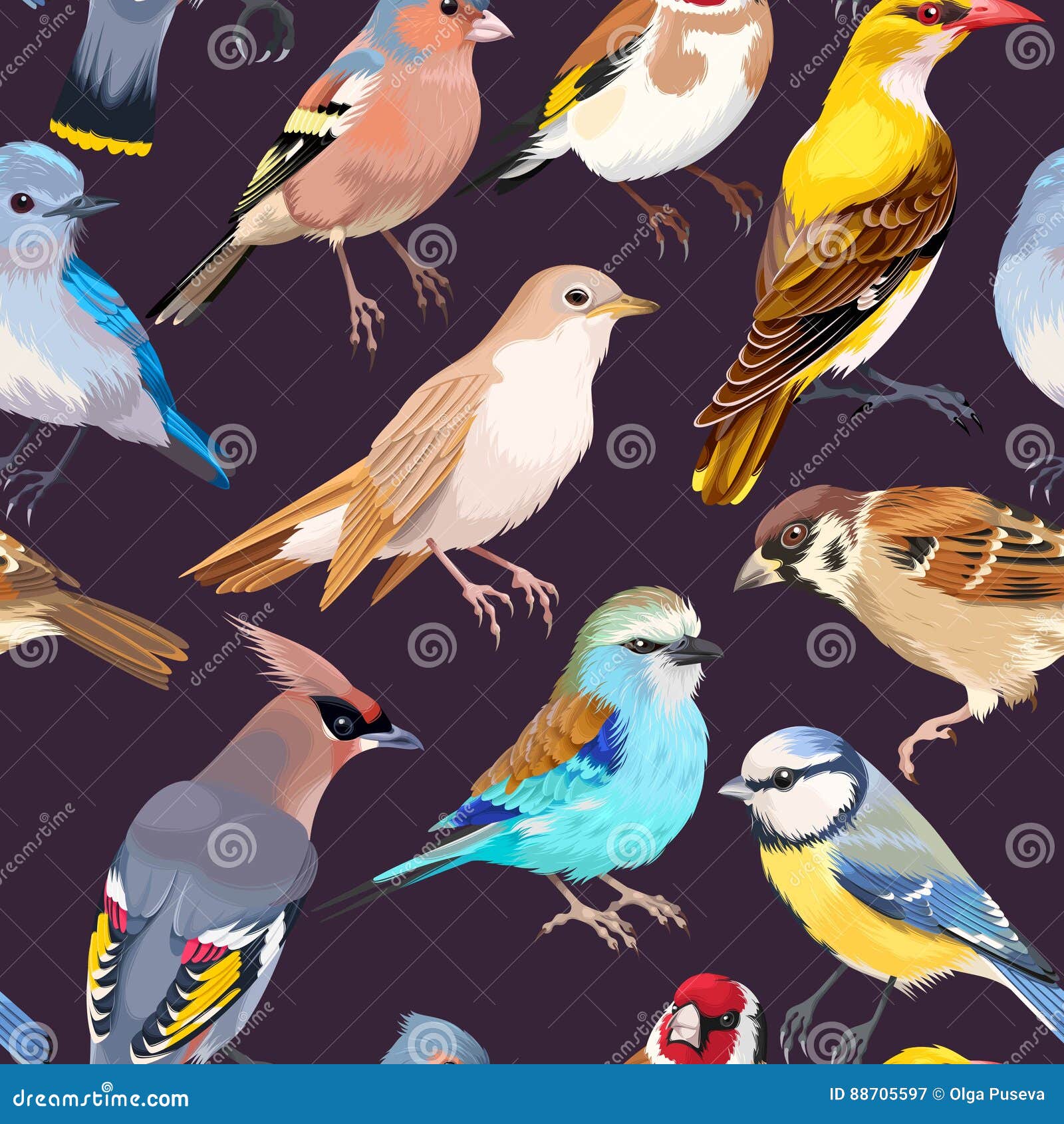 Seamless Patterns with Birds Stock Vector - Illustration of artwork ...