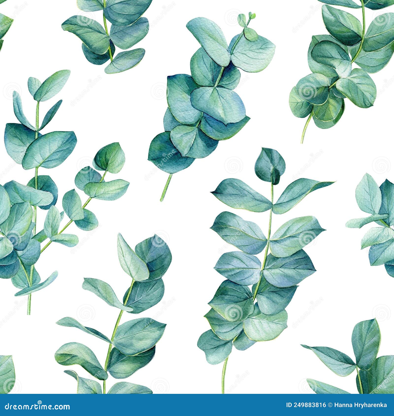 Seamless Patterns of Eucalyptus Branches, Green Leaves on an Isolated ...