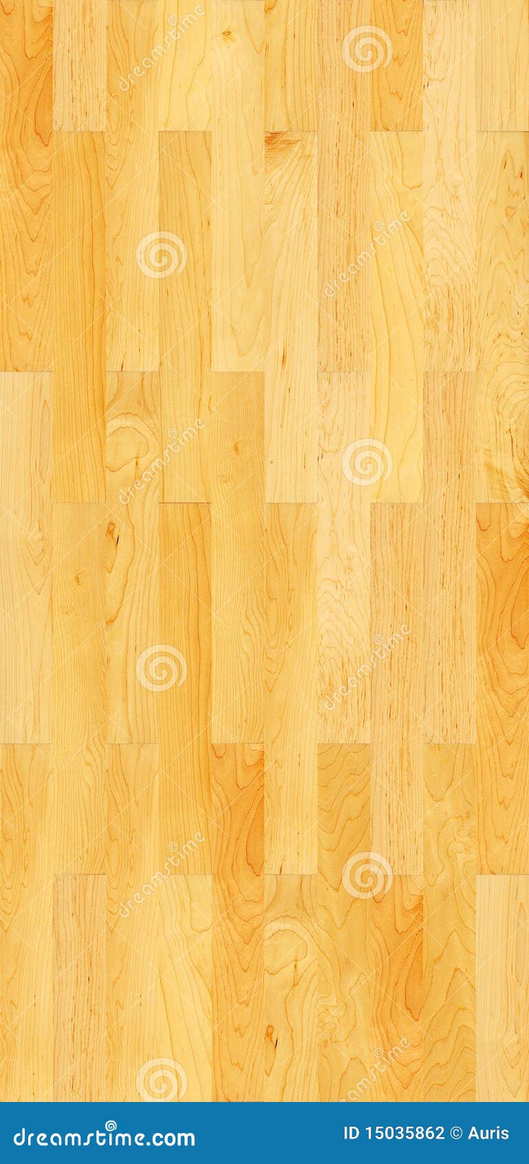 Seamless Pine Floor Texture Stock Photo - Image of texture, plank: 15035862