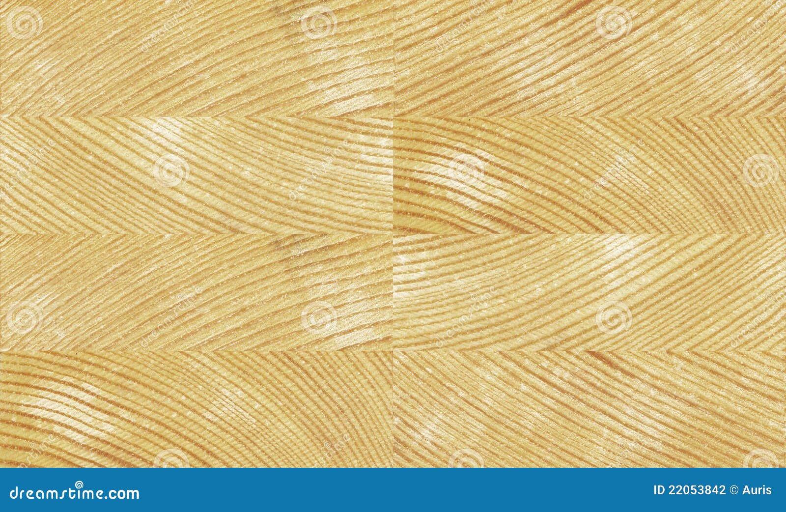Seamless pine texture stock photo. Image of line, seamless - 22053842