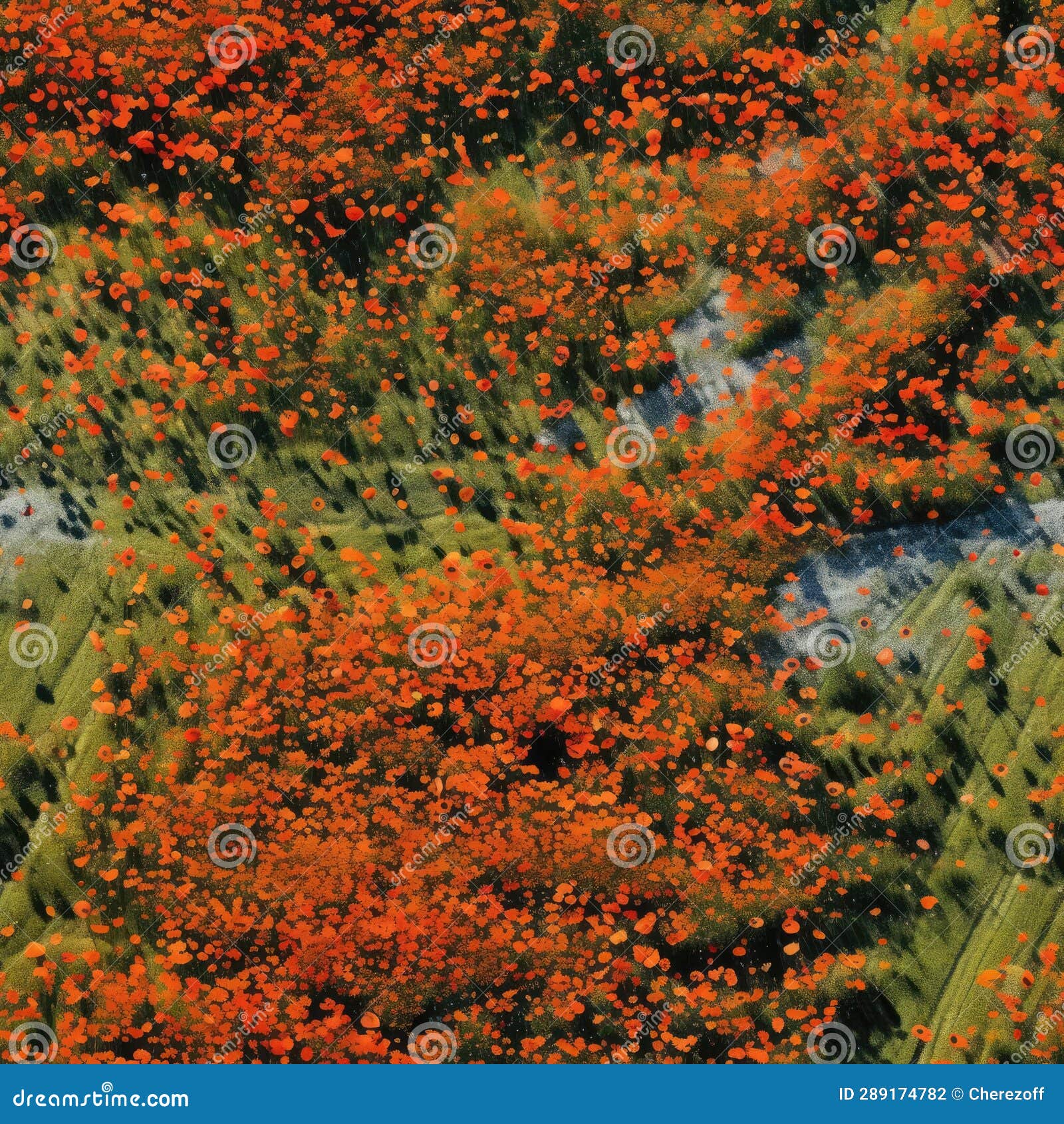 Seamless Poppy Field Texture Stock Photo - Image of background ...