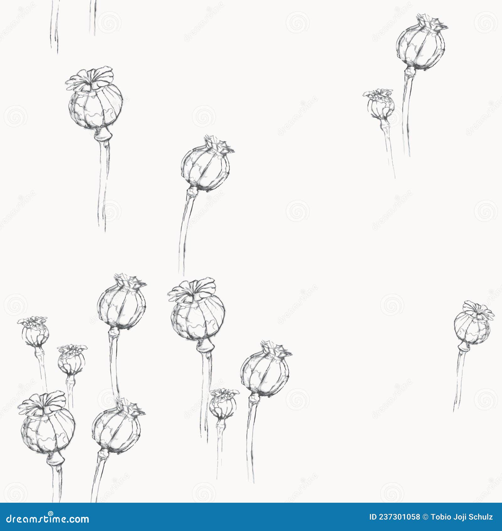 Seamless Poppy Seed Pod Pattern Stock Vector - Illustration of drawing ...