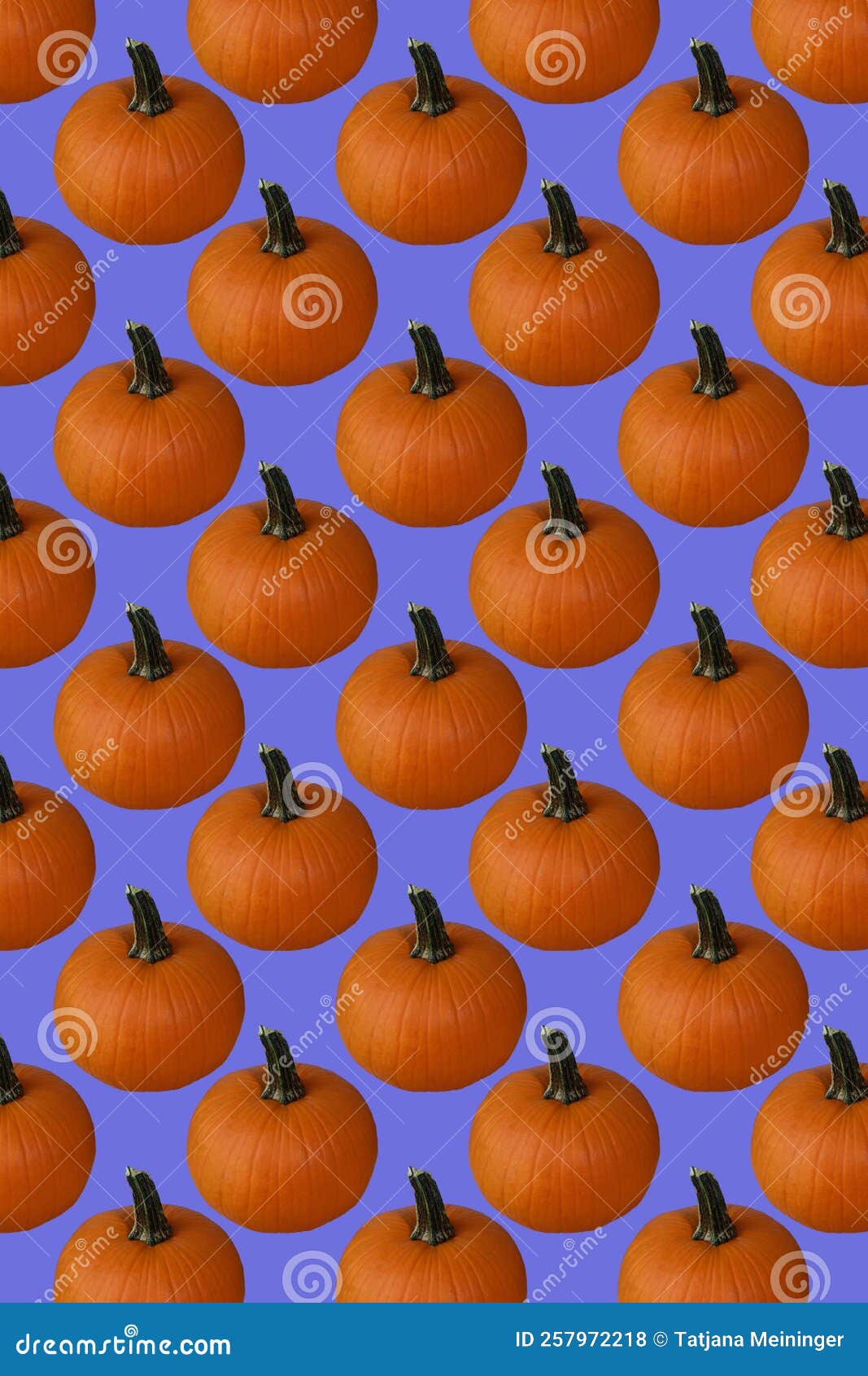 Seamless Pumpkin Pattern on Blue Background Stock Illustration ...