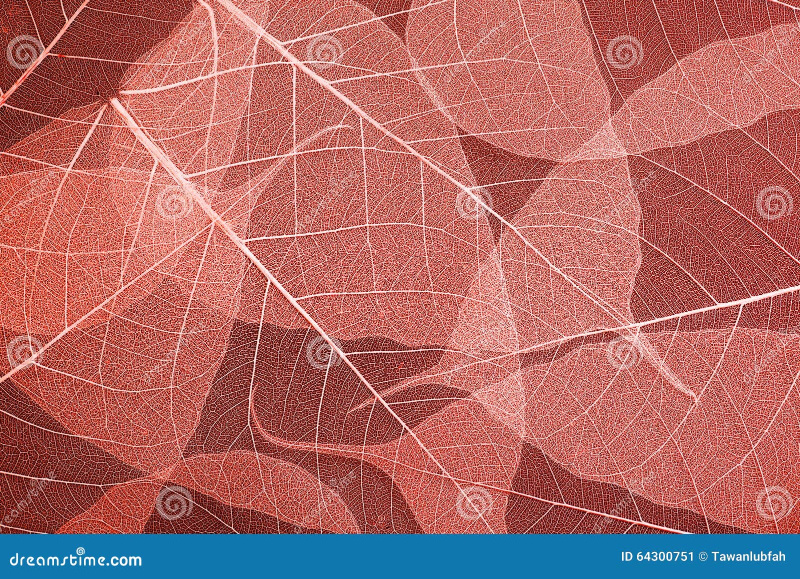 Seamless Red Leaves Pattern, Texture for Background. Stock Illustration ...