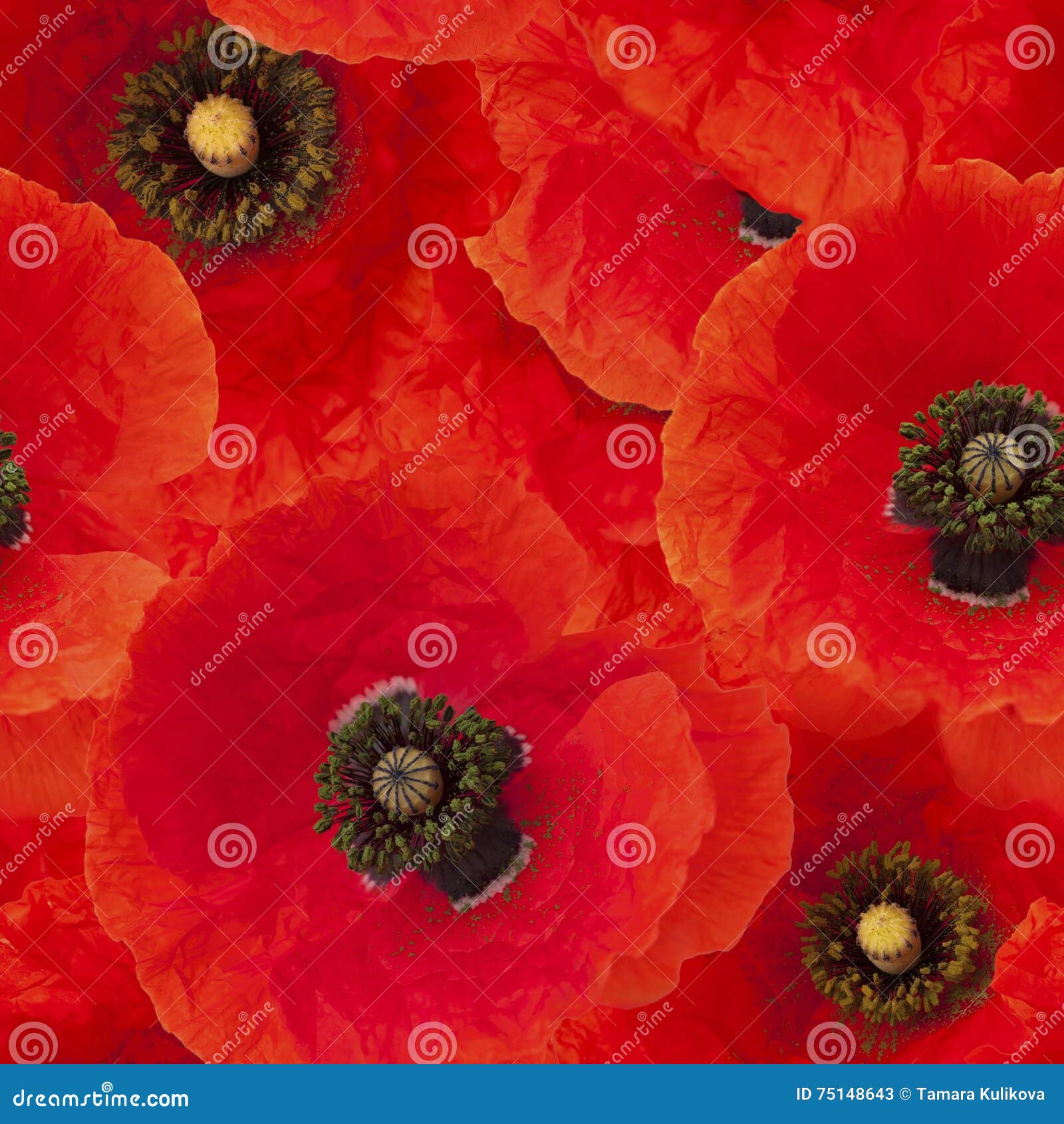 Seamless Repeatable Photo Background of Red Poppies Stock Image - Image ...