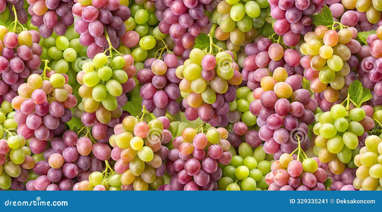 Seamless Repeatable and Tilelable Texture Pattern of Fresh Grapes ...