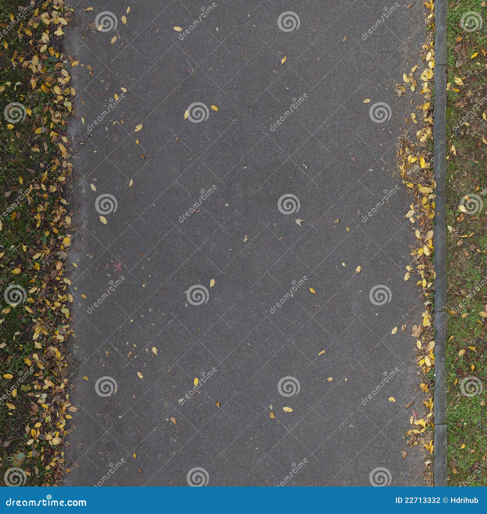 Seamless Road Texture with Leaves Stock Photo - Image of scrap, outside ...