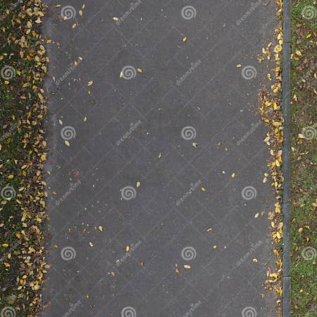 Seamless Road Texture with Leaves Stock Photo - Image of scrap, outside ...