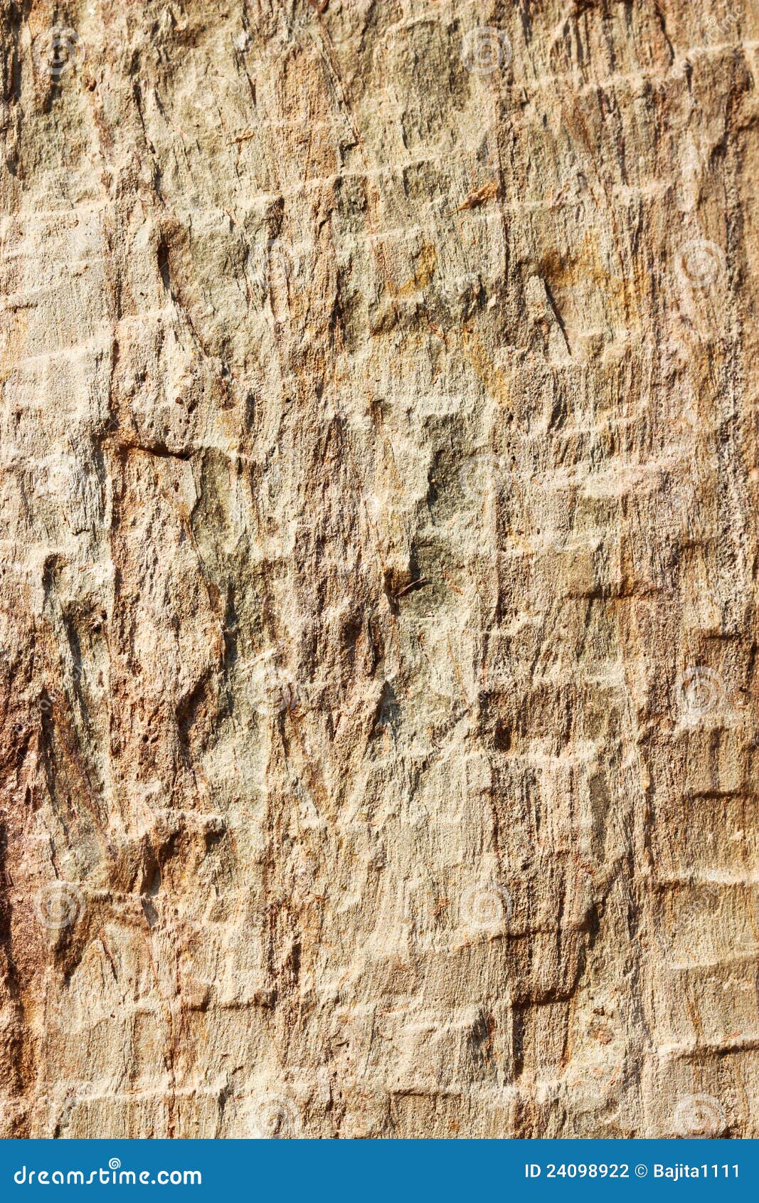 Seamless rock texture stock photo. Image of decorative - 24098922