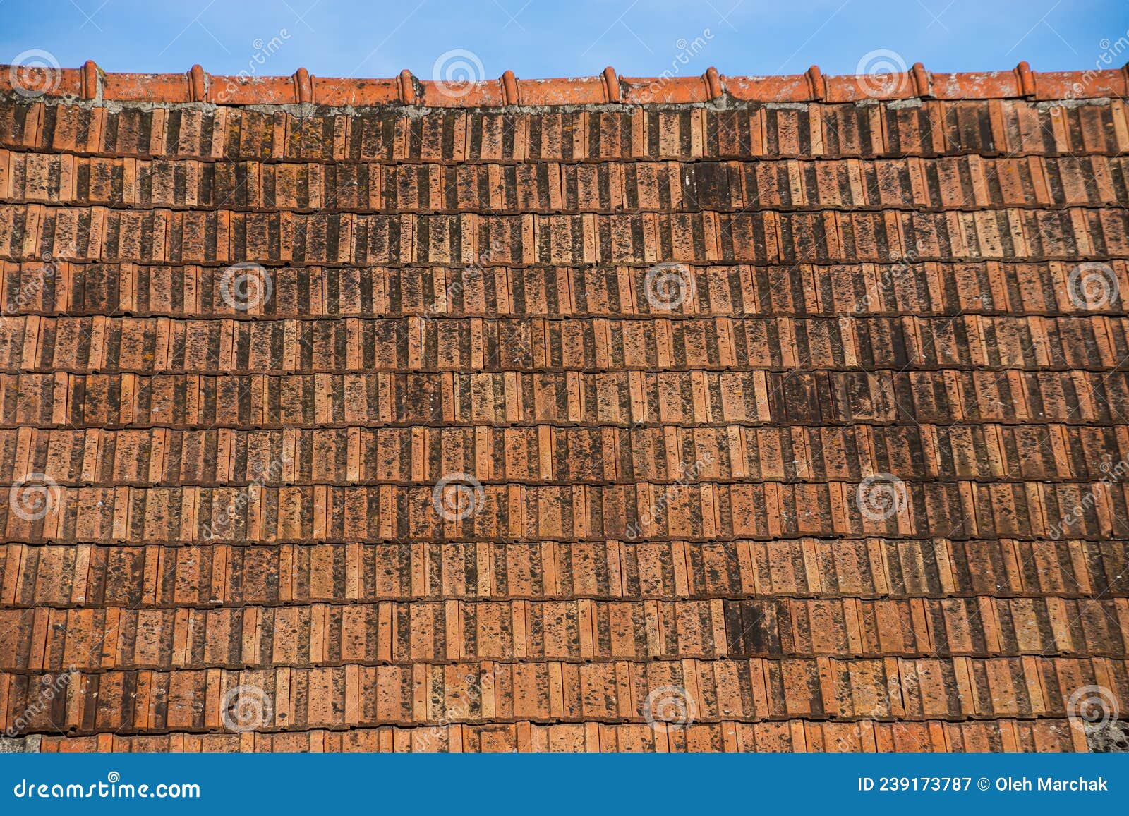 Seamless Flat Roof Texture