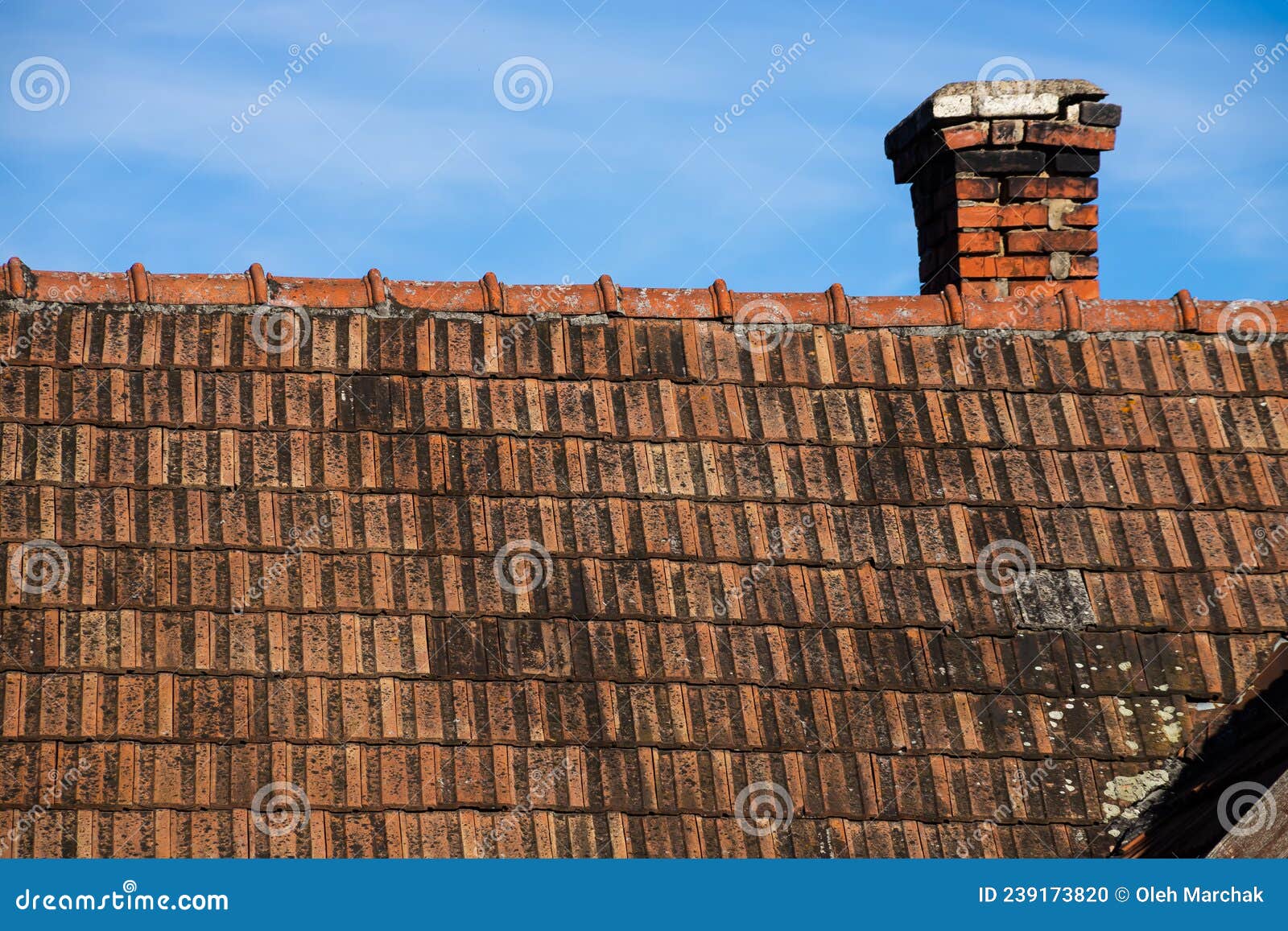 Seamless Roof Texture of Flat Red Shingles with Embedded Line Patterns ...