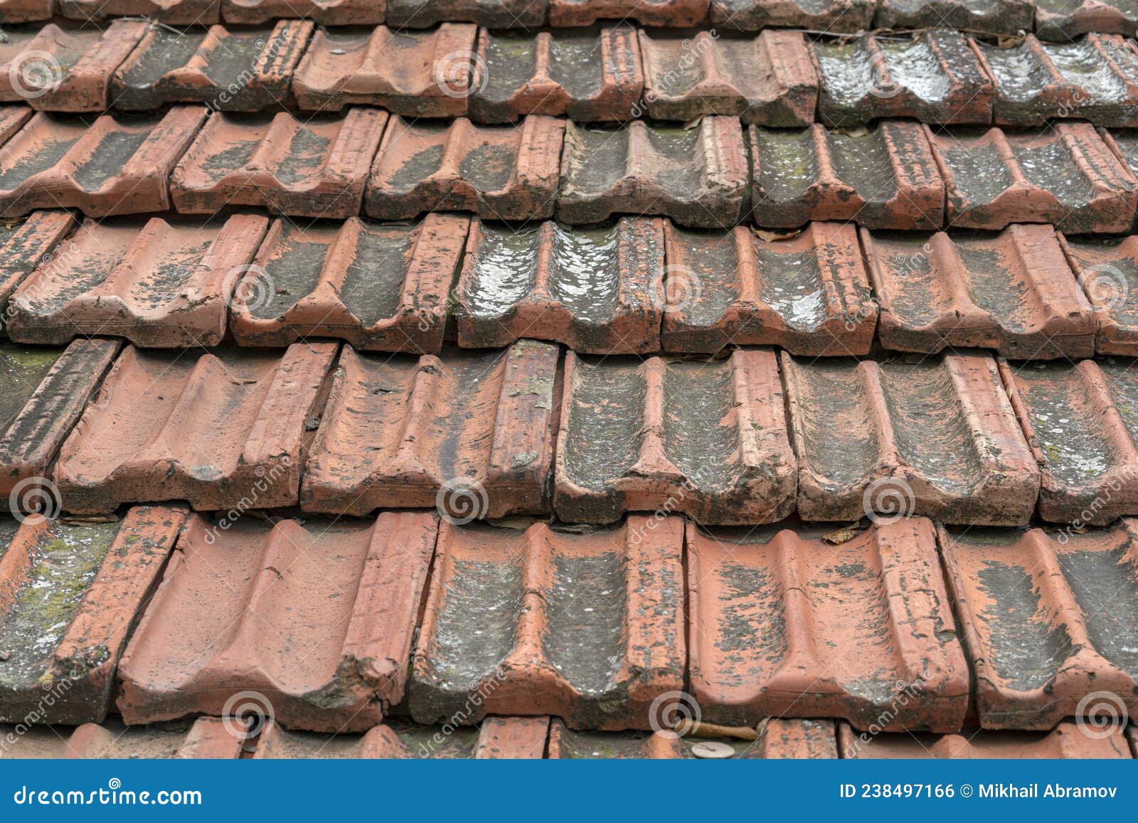 Seamless Flat Roof Texture