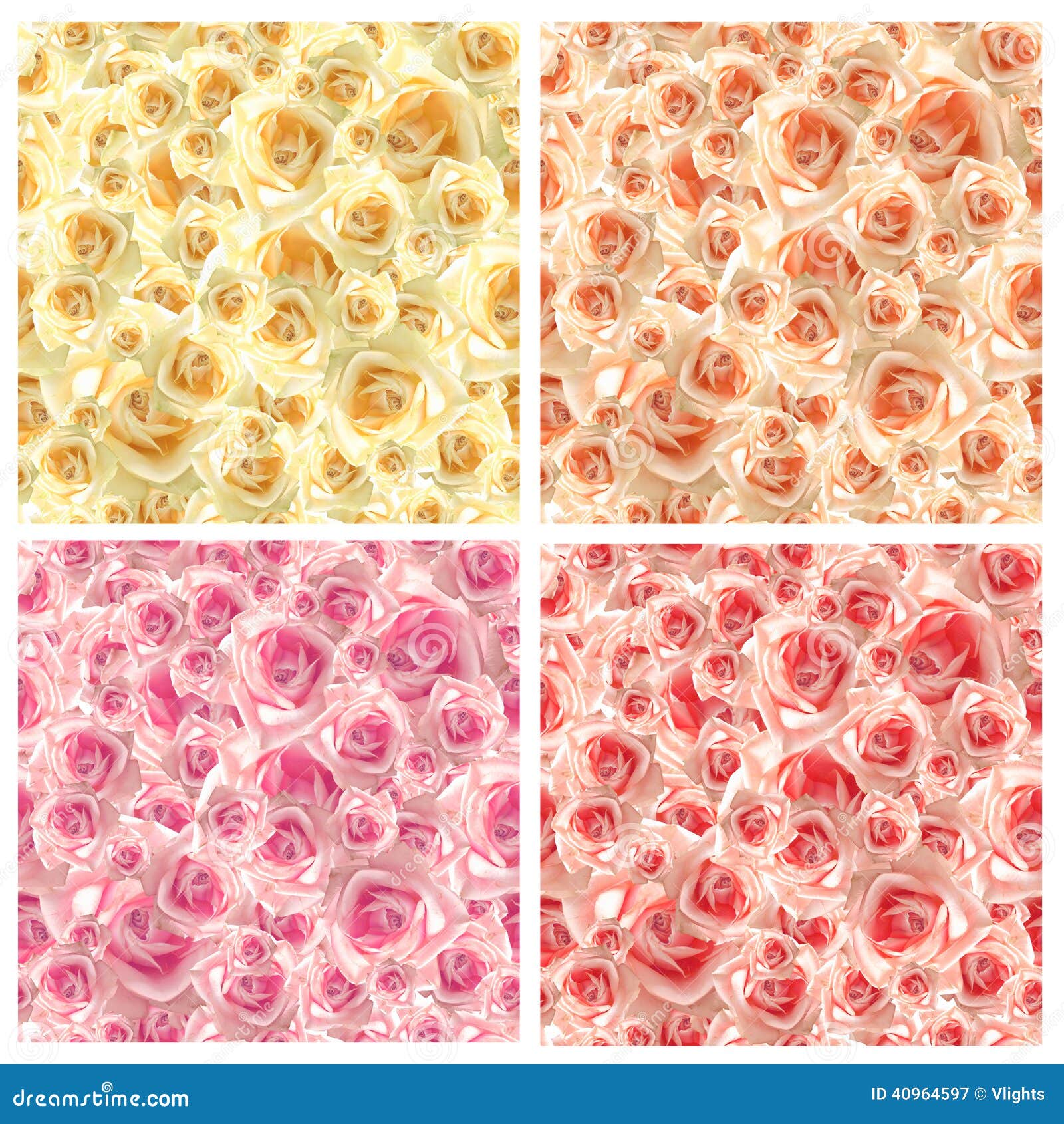Seamless Rose pattern stock image. Image of pattern, prints - 40964597