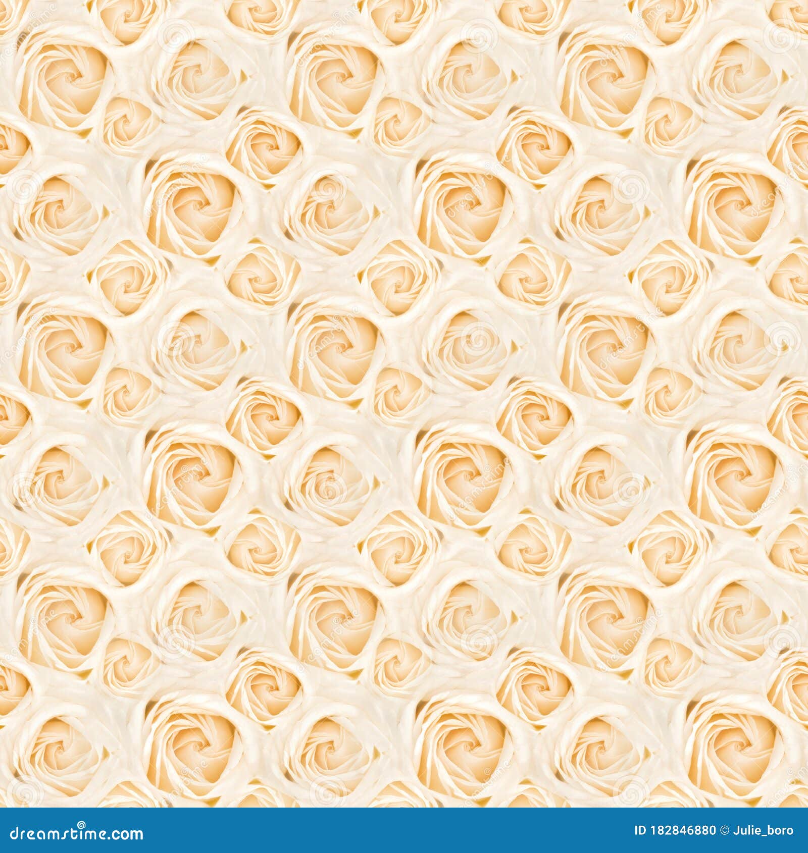 Rose Texture Stock Photography | CartoonDealer.com #48482120