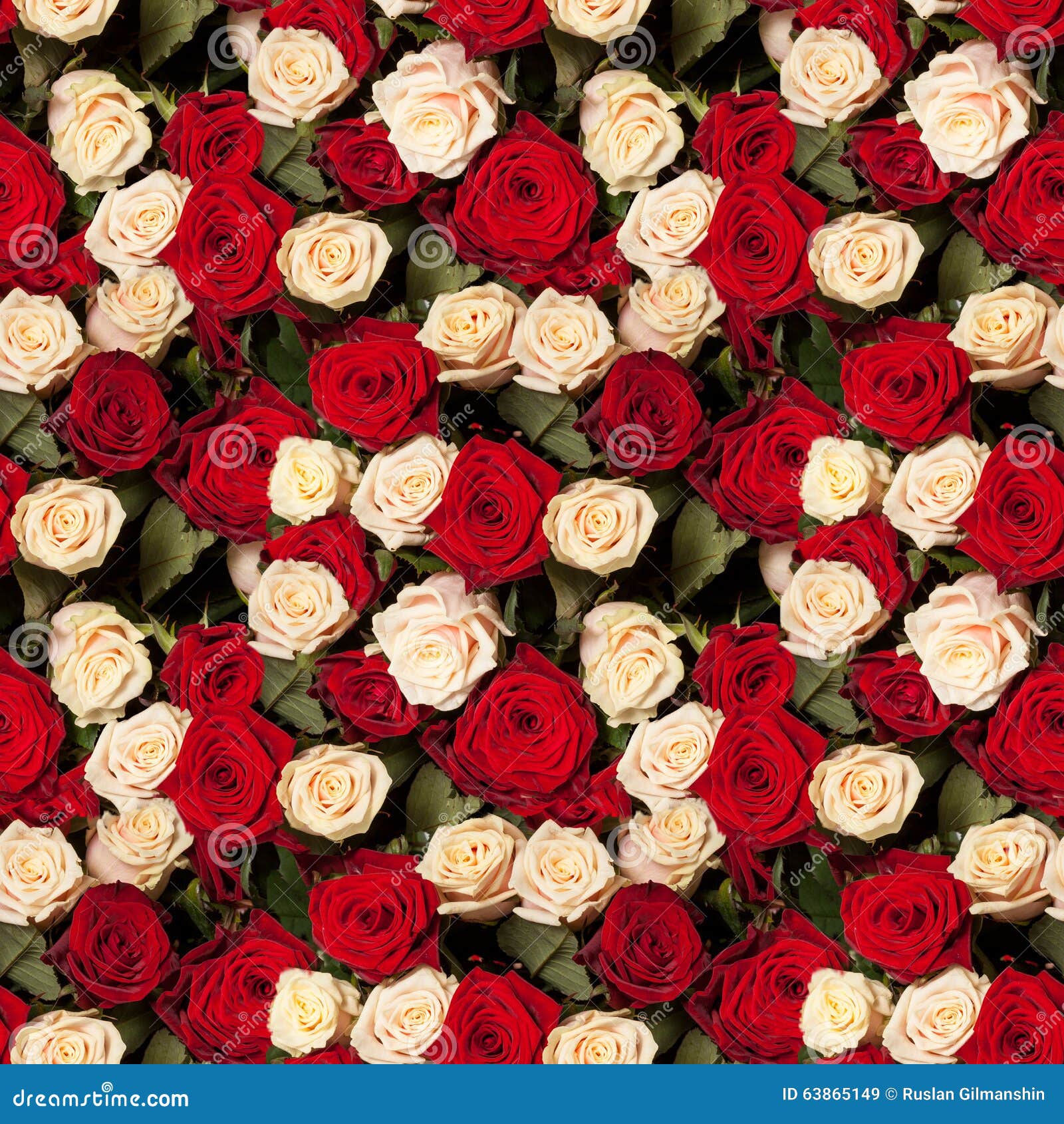 Seamless roses background stock image. Image of natural - 63865149