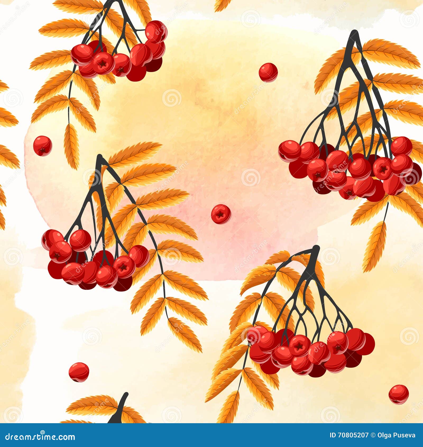 Seamless Rowan Berries and Leaves Stock Vector - Illustration of rowan ...