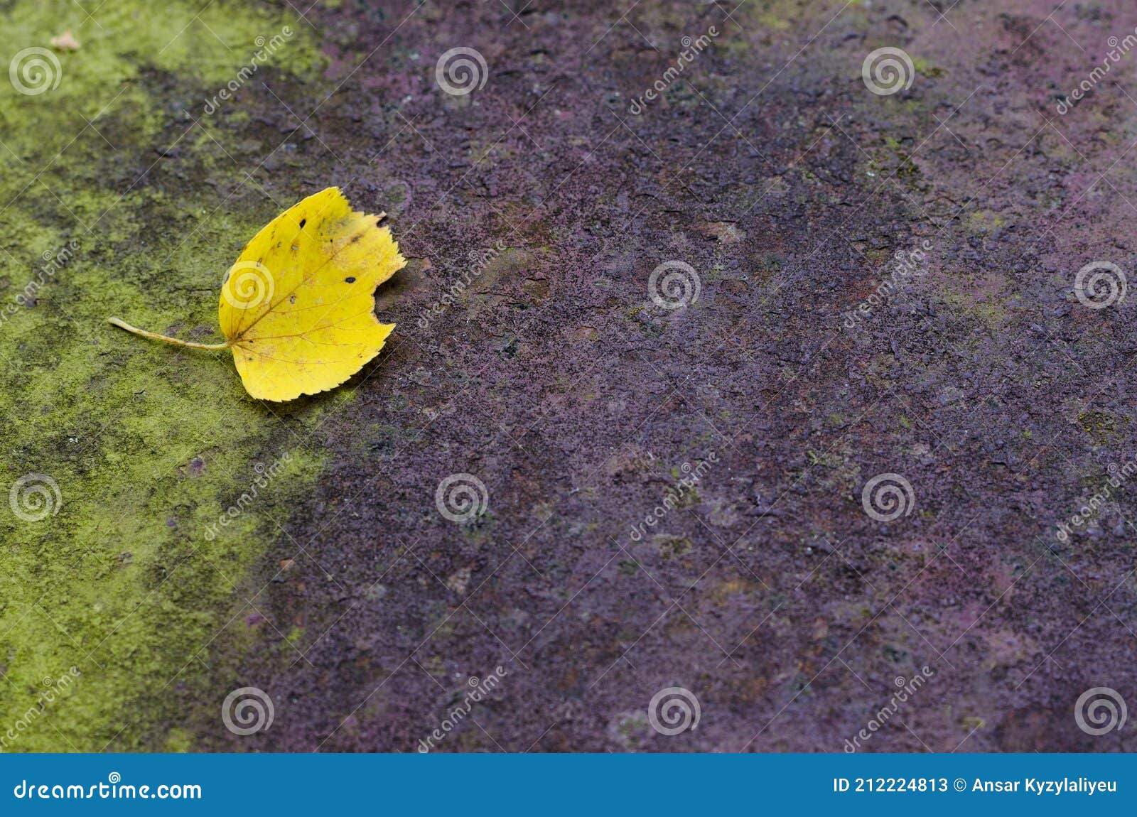 Seamless Rust Texture As Rusted Metal Background. Abstract Background ...