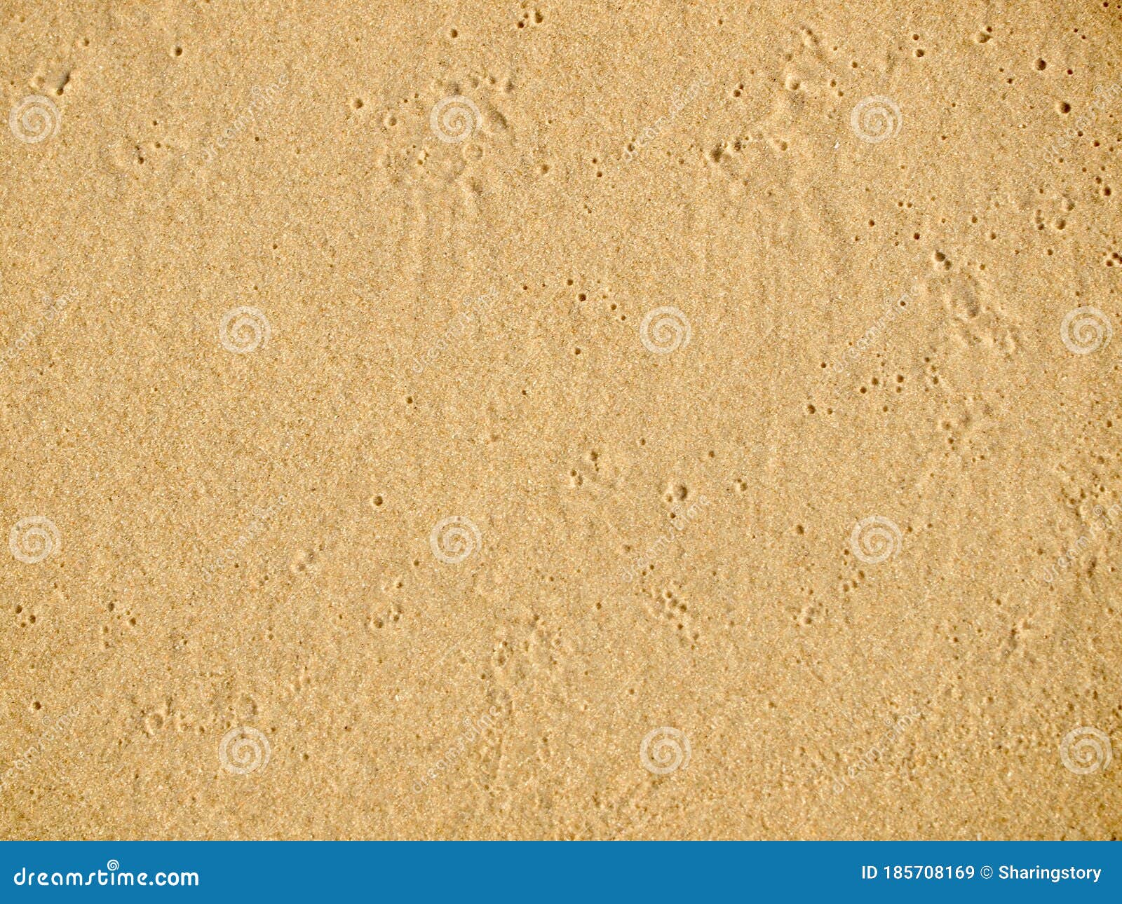 Seamless sand background stock image. Image of flat - 185708169