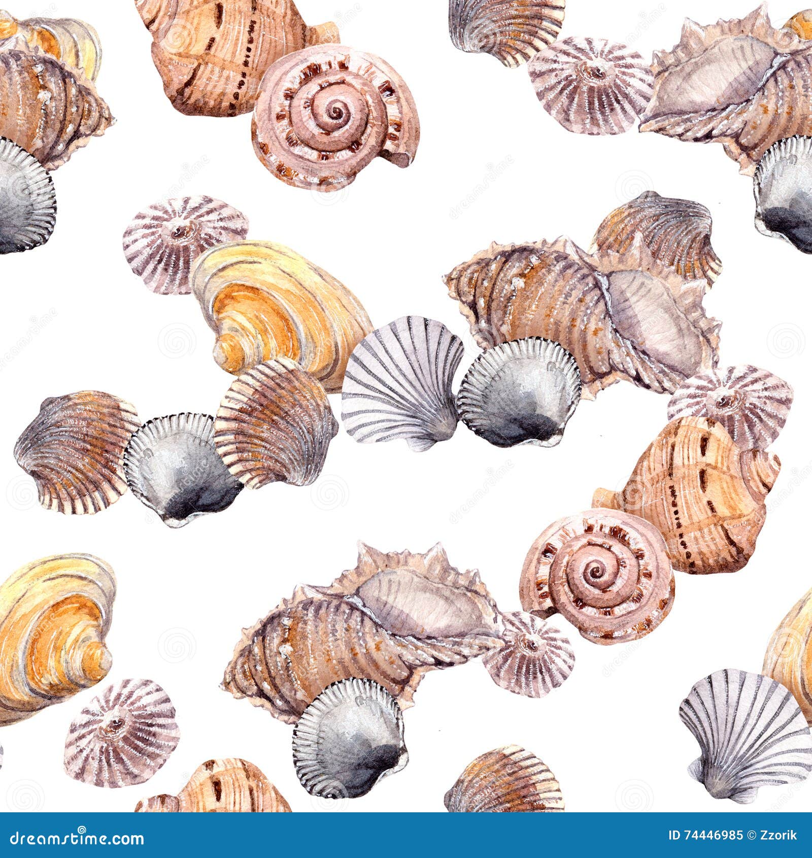 Seamless Sea Shell Pattern on White Background. Aquarelle Stock ...