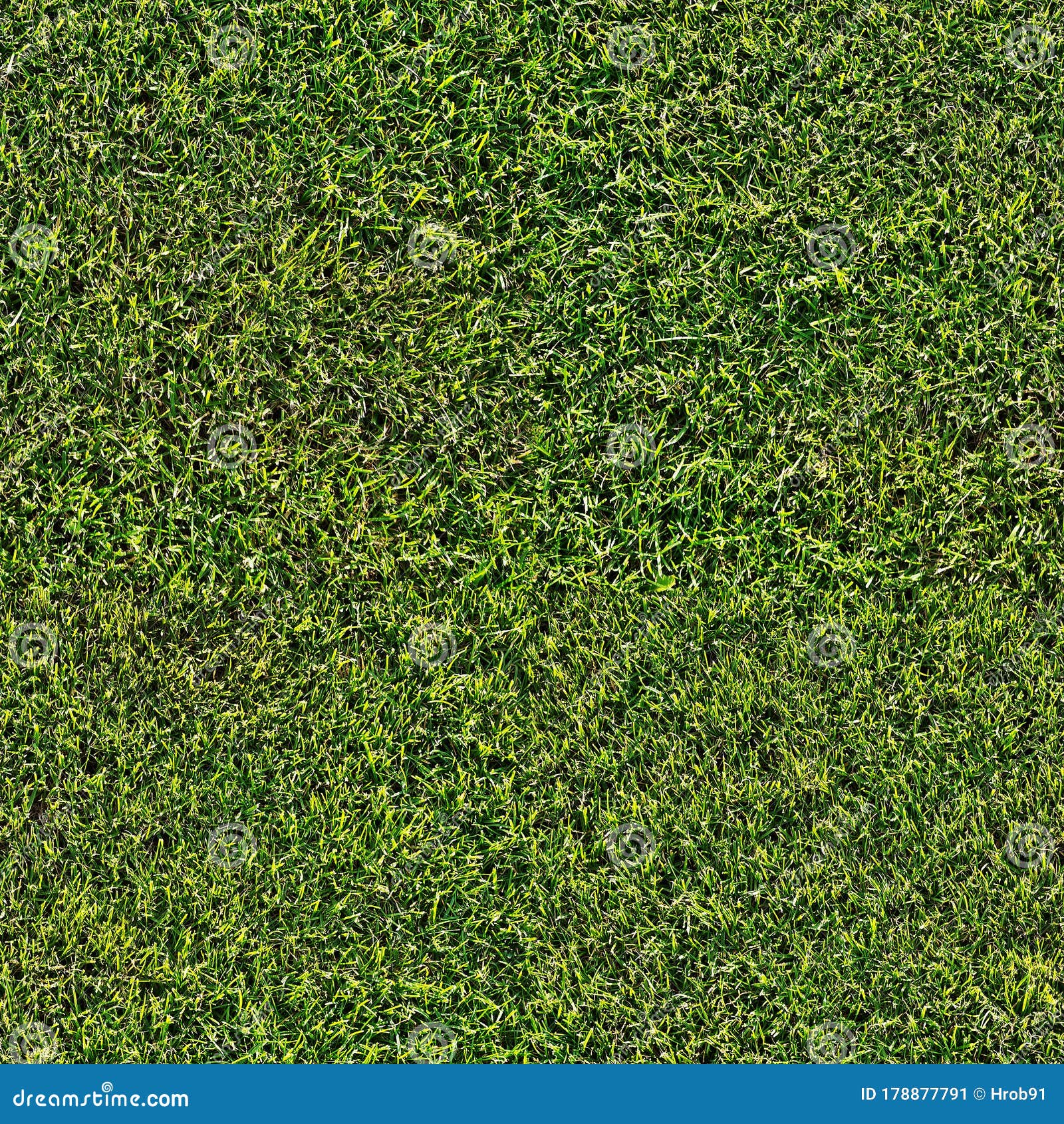 Seamless Short Grass Field Texture Stock Image - Image of football ...