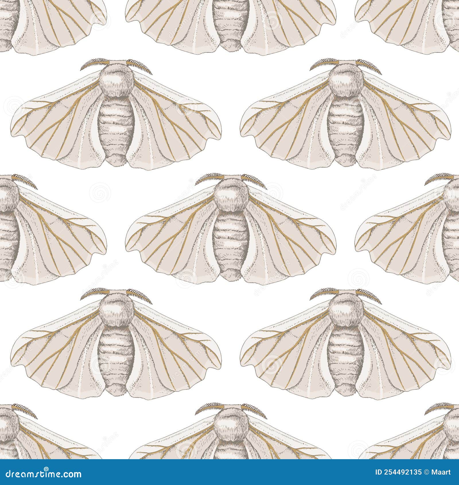 Silk Moth Life Cycle Illustrated Vector Diagram | CartoonDealer.com ...