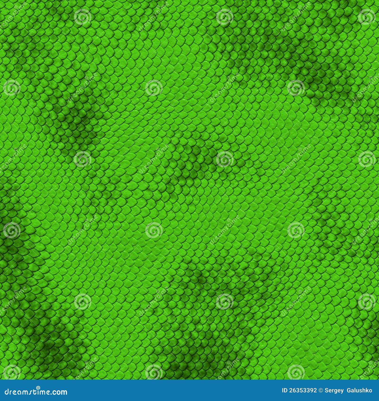 Seamless Snake Pattern With Marble Or Stone Texture Royalty-Free ...