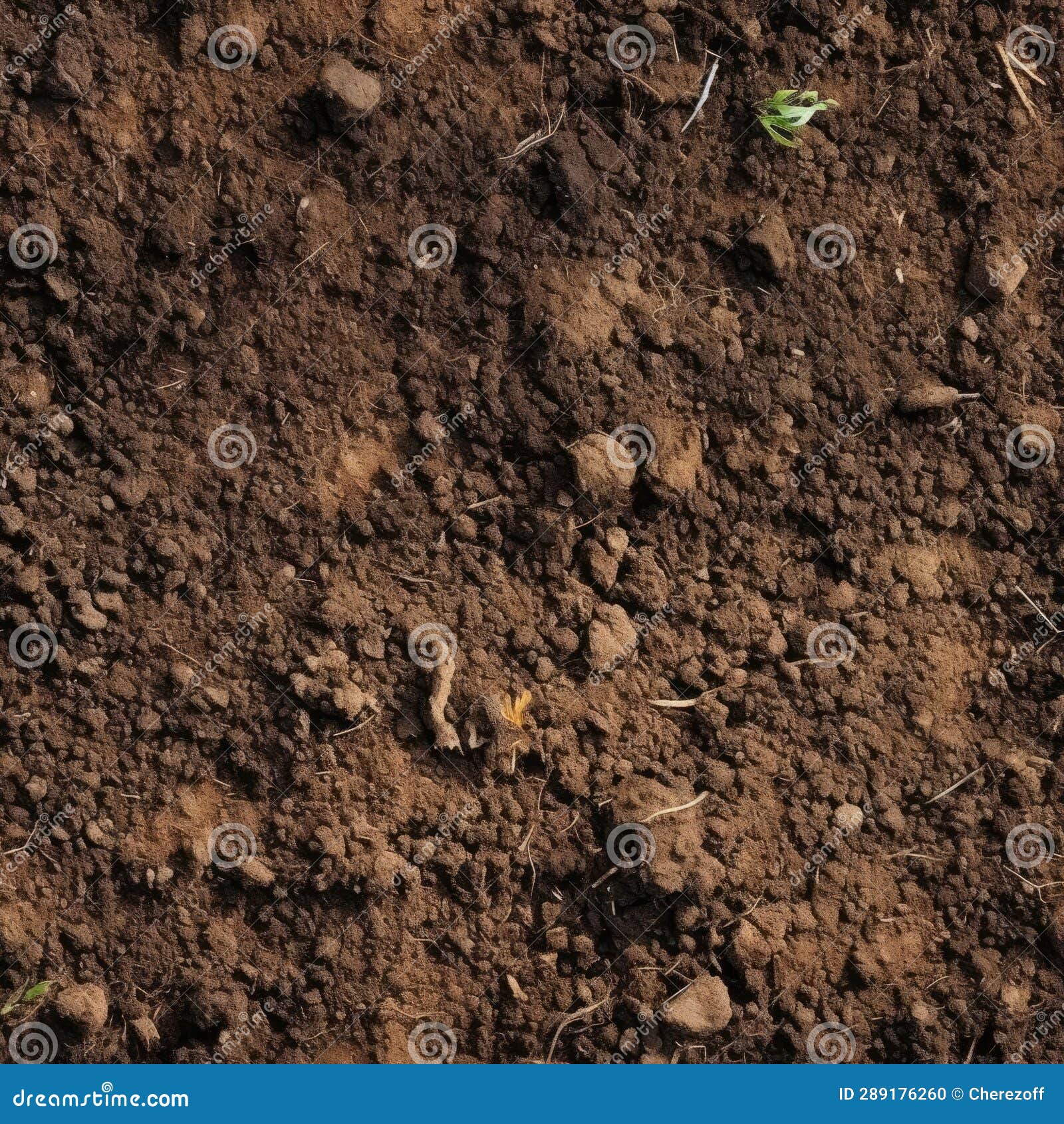 Seamless Soil Texture Royalty-Free Stock Photo | CartoonDealer.com ...