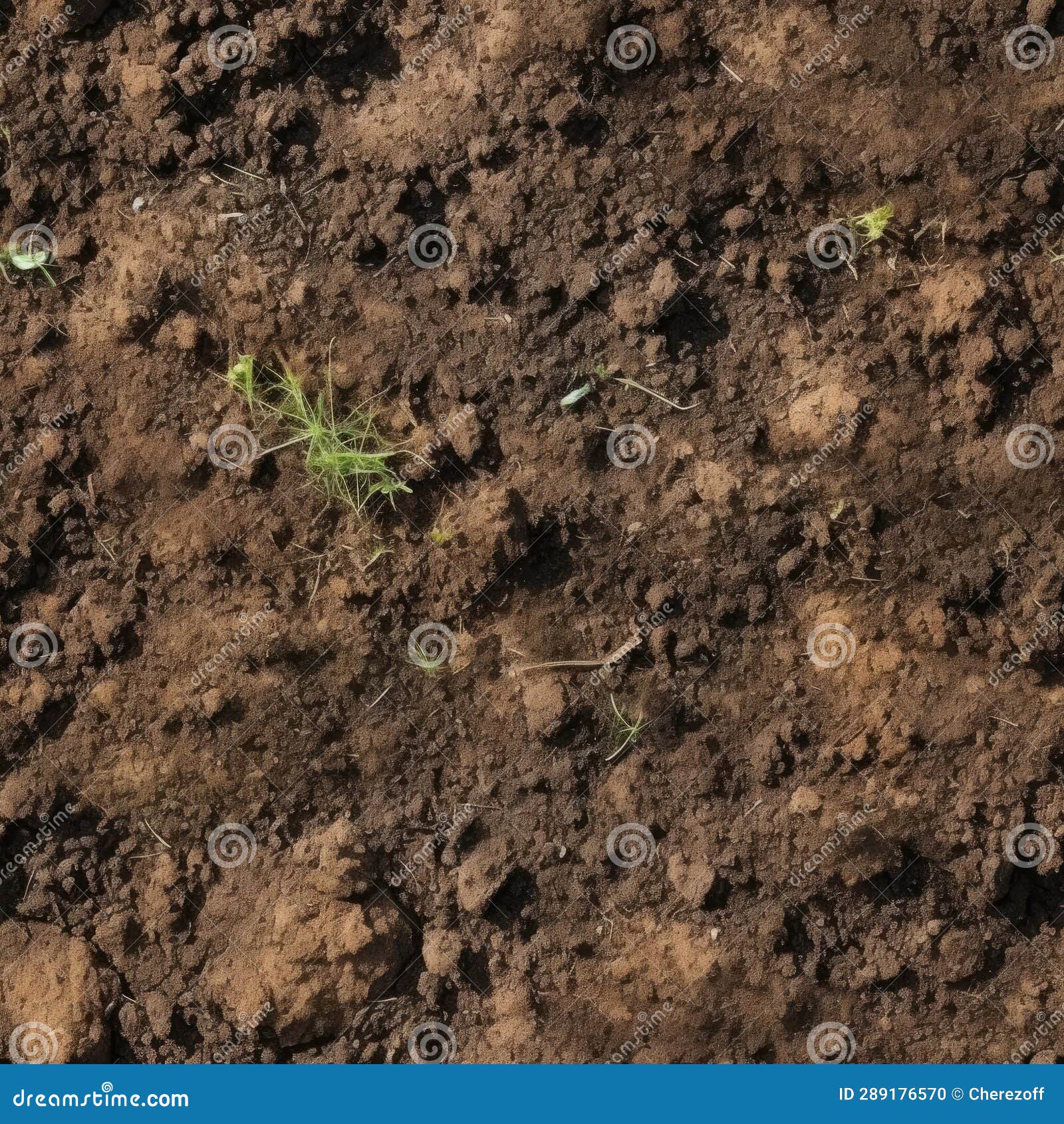 Seamless soil texture stock photo. Image of earth, seamless - 289176570