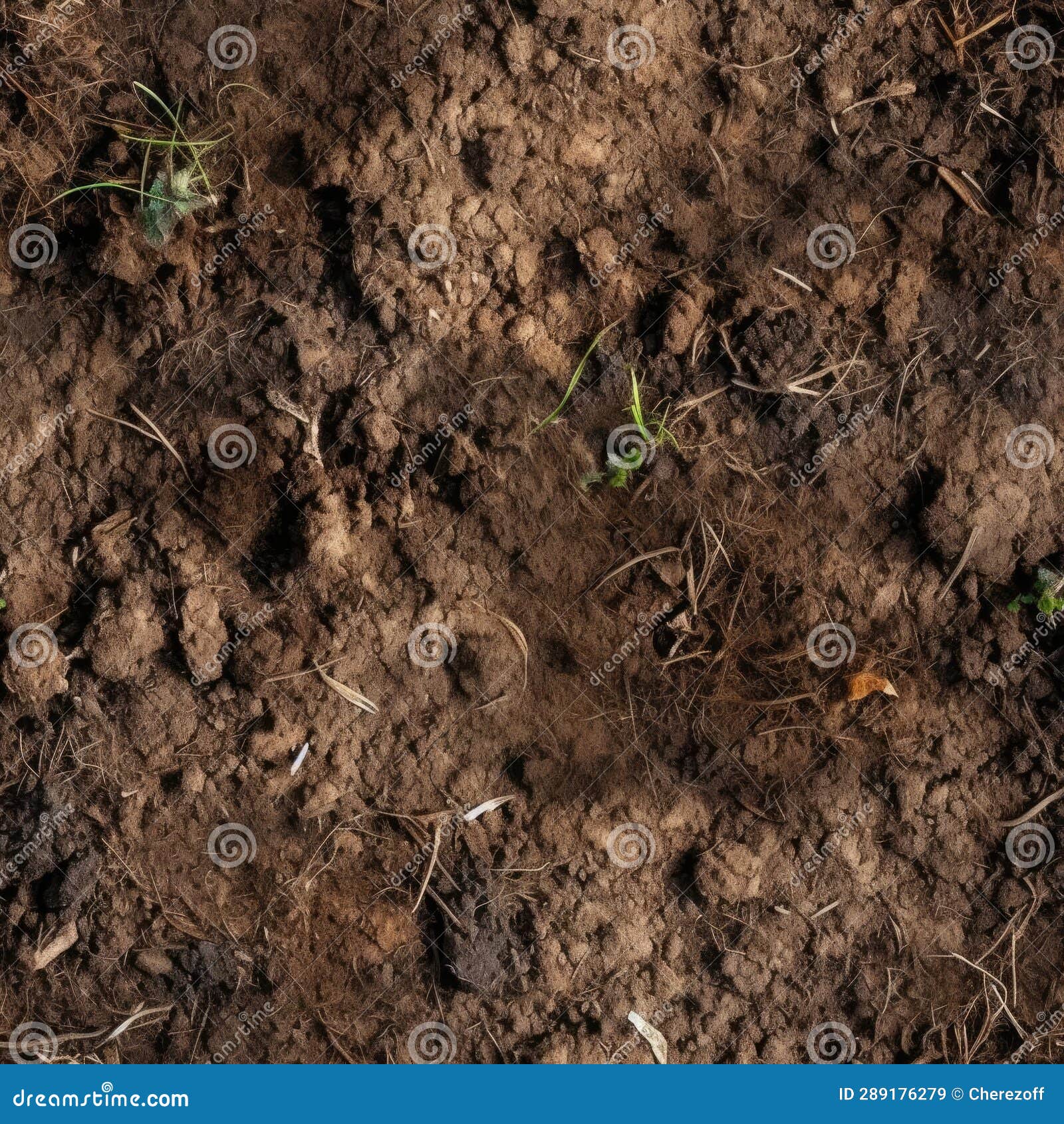 Seamless Soil Texture Royalty-Free Stock Photo | CartoonDealer.com ...
