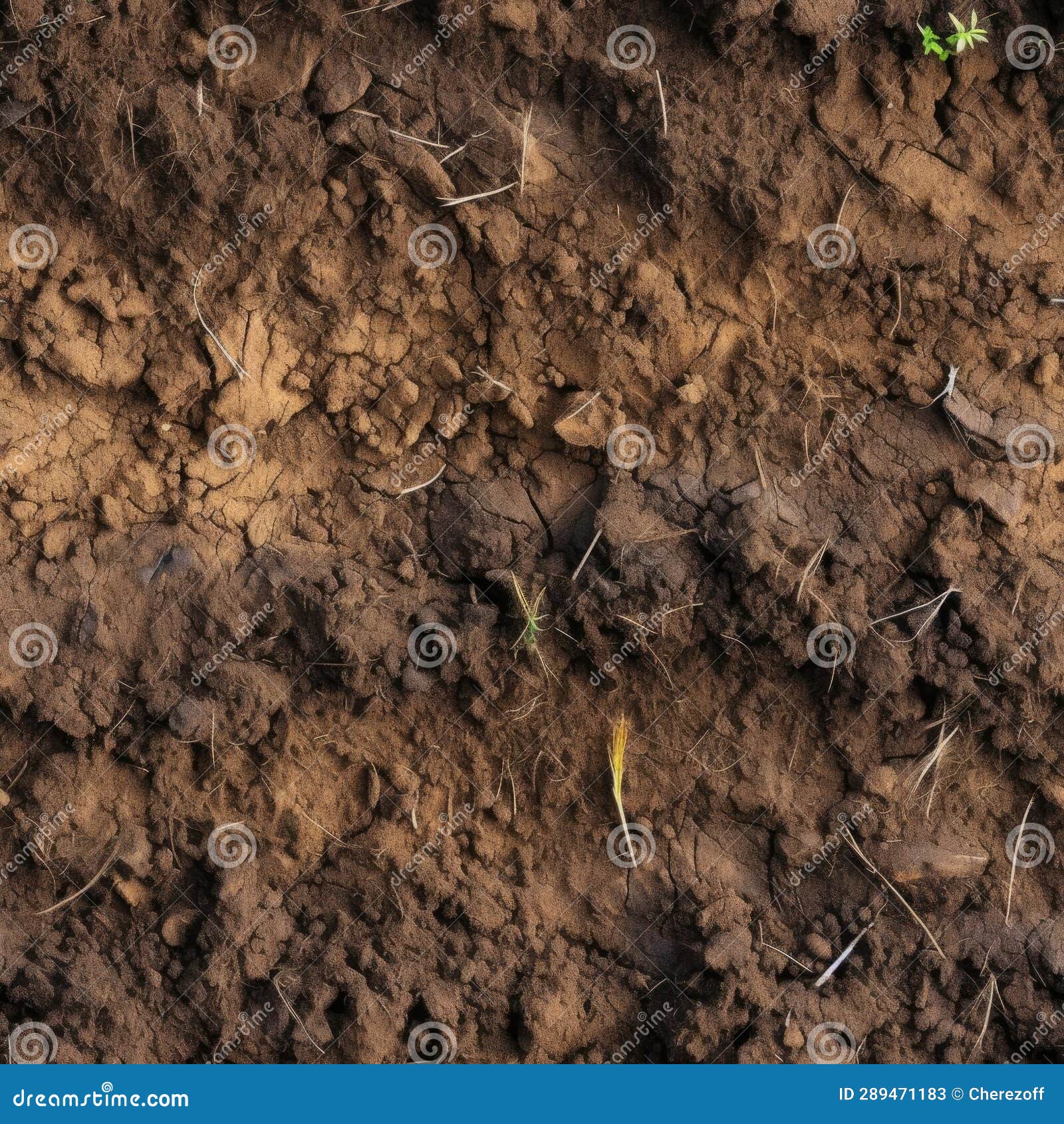 Seamless Soil Texture. Can Be Used As Pattern To Fill Background ...
