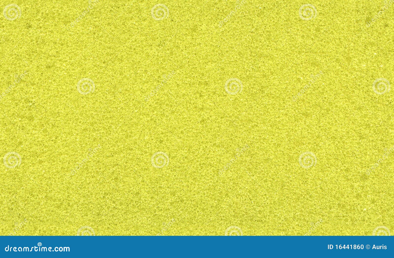 Seamless sponge texture stock photo. Image of texture - 16441860