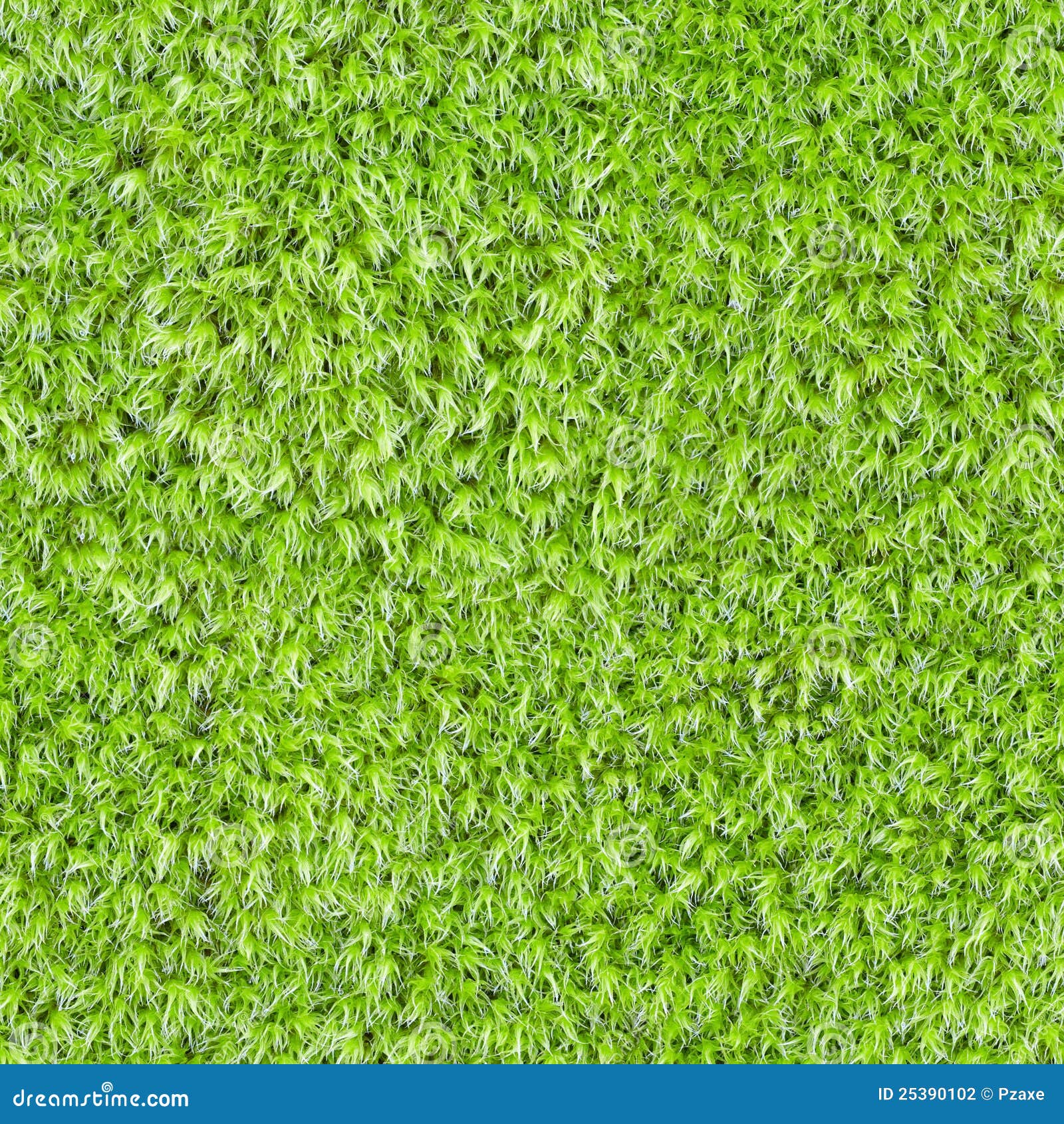 Seamless Square Texture - Green Moss Royalty-Free Stock Image ...