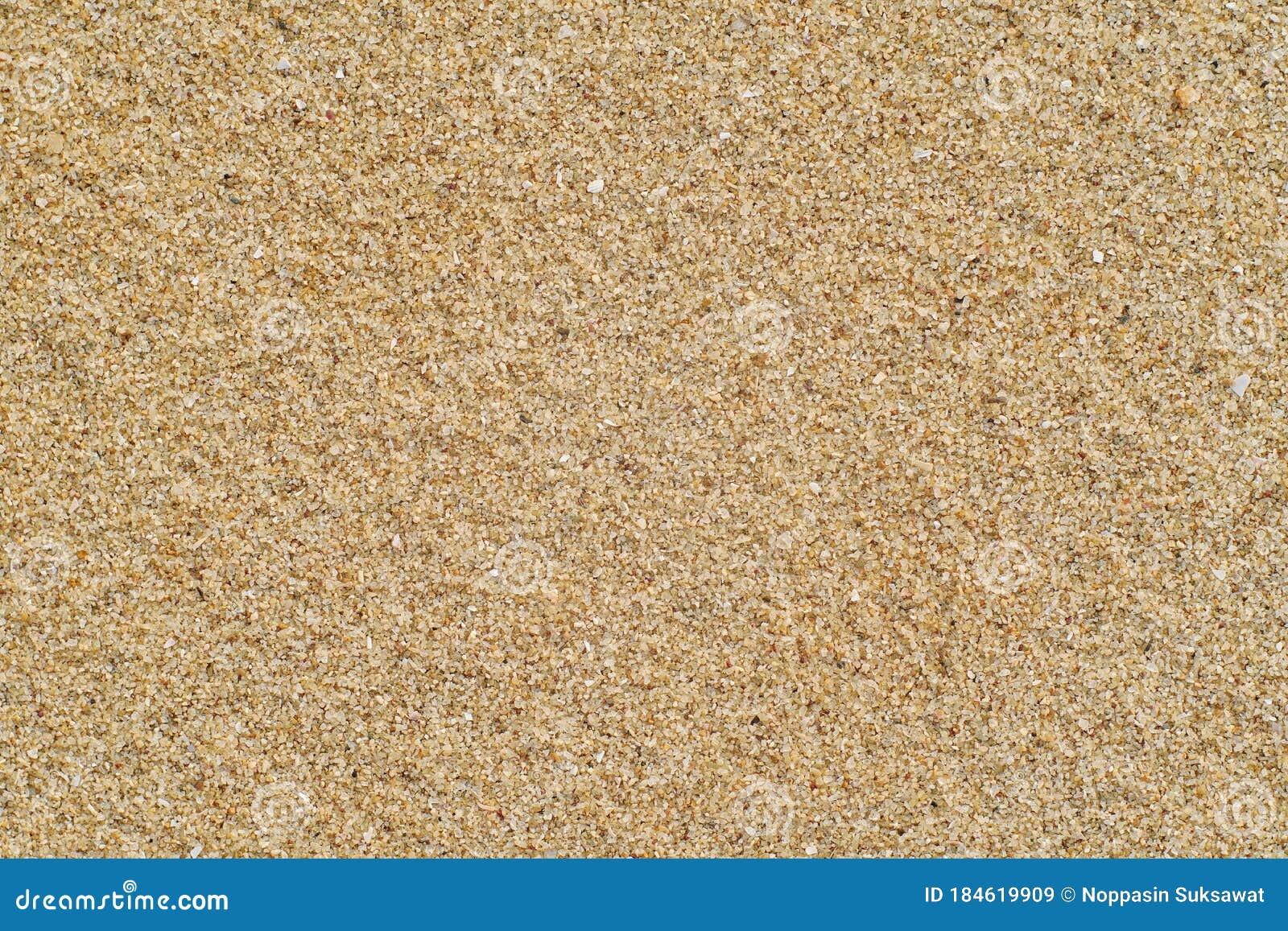 Sea Beach Sand Rough Surfac Stock Image - Image of food, dune: 184619909