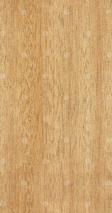 Seamless teak texture stock photo. Image of wood, parquet - 18207958