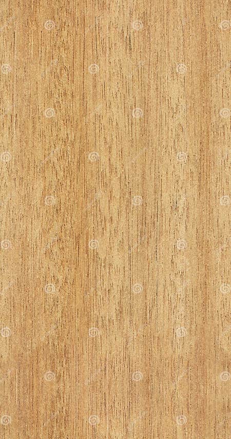 Seamless teak texture stock photo. Image of wood, parquet - 18207958
