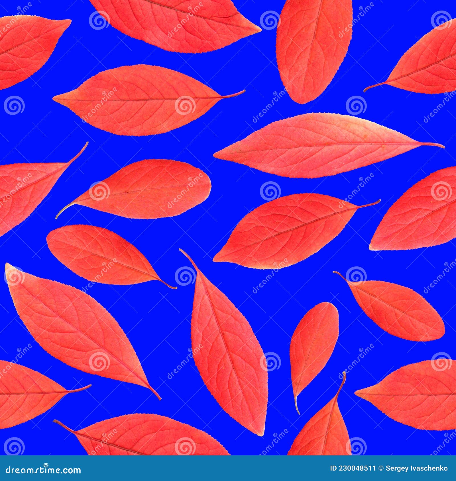 Seamless Texture of Autumn Leaves. Stock Image - Image of leaf, plant ...