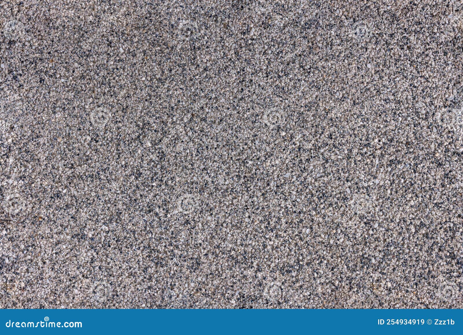 Seamless Texture and Background of Gray Sand Plaster Stock Image ...