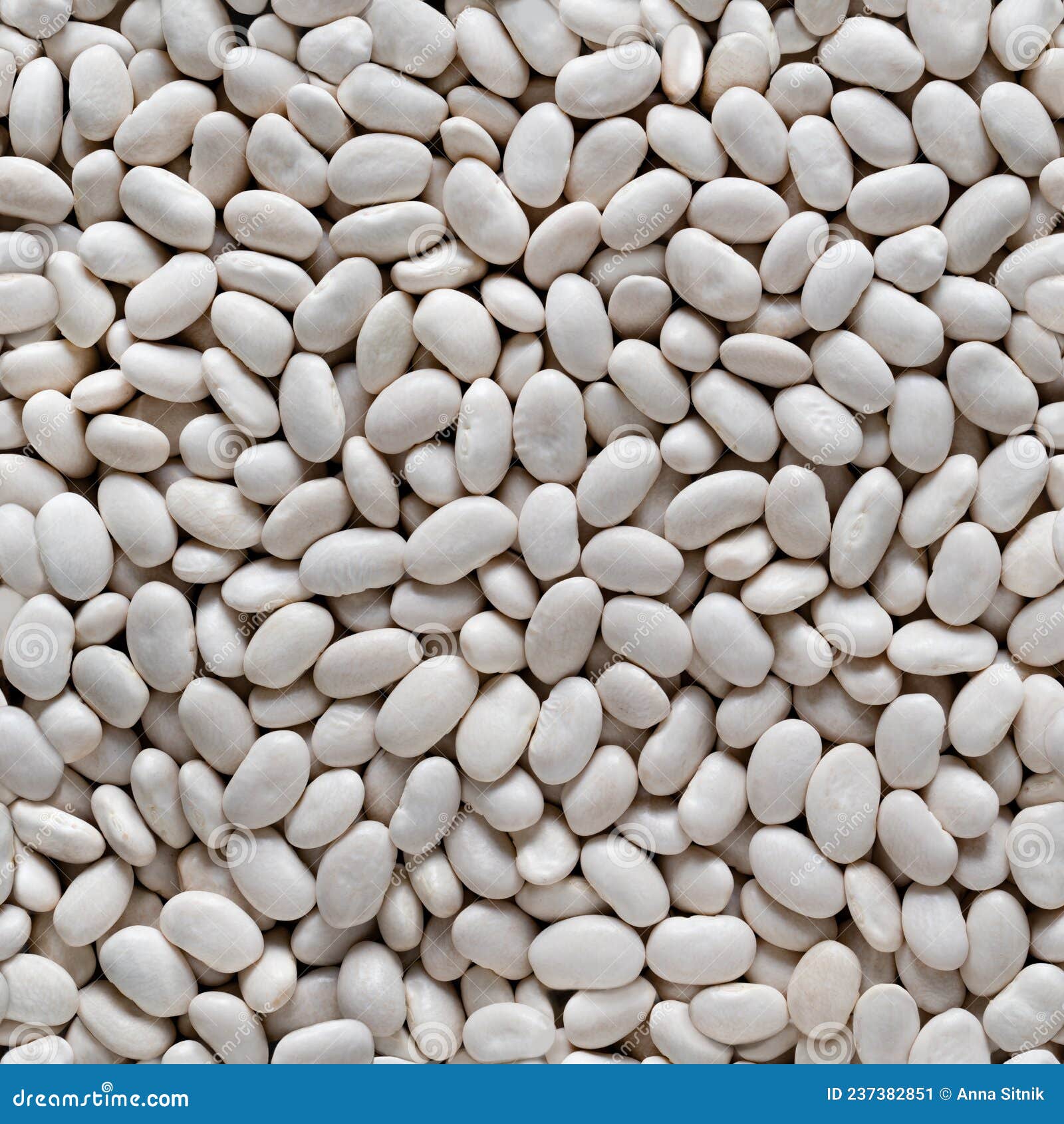 Seamless Texture of Background of White Beans. Stock Image - Image of ...