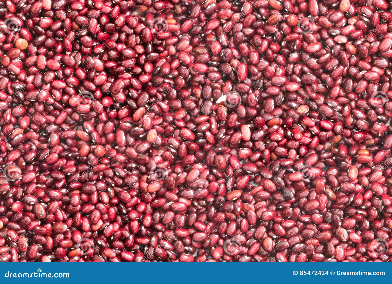 Seamless texture of beans stock photo. Image of ingredient - 85472424
