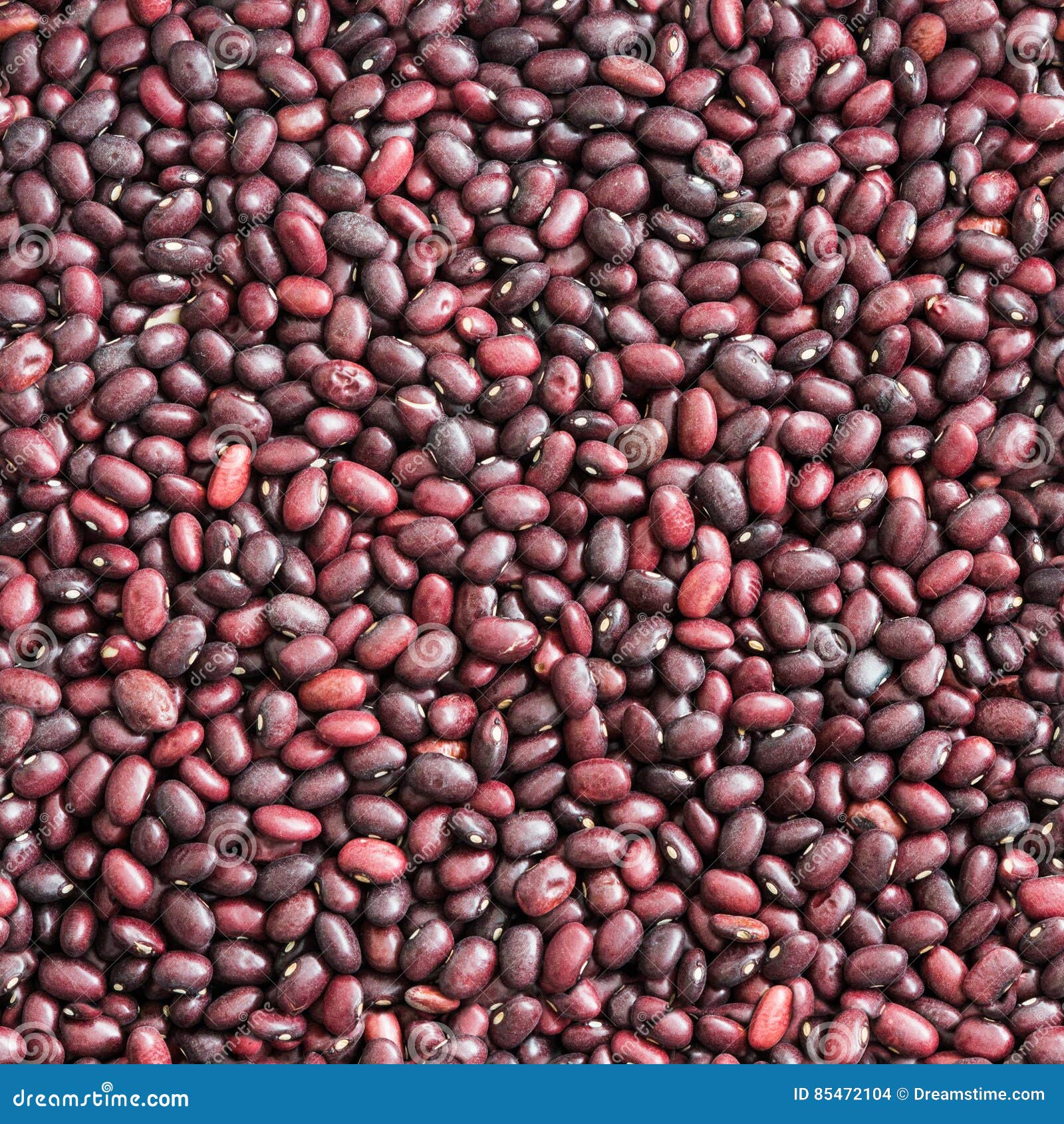 Seamless Texture of Beans. Square Stock Photo - Image of texture, ready ...