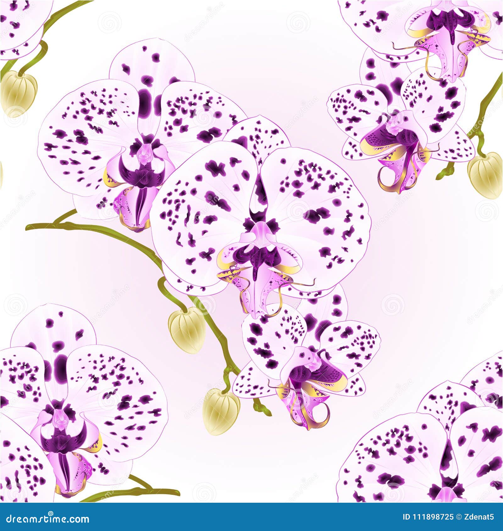Seamless Texture Beautiful Orchid With Dots Purple And White