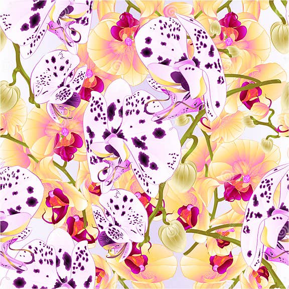 Seamless Texture Branch Orchids Dots White And Purple And Yellow