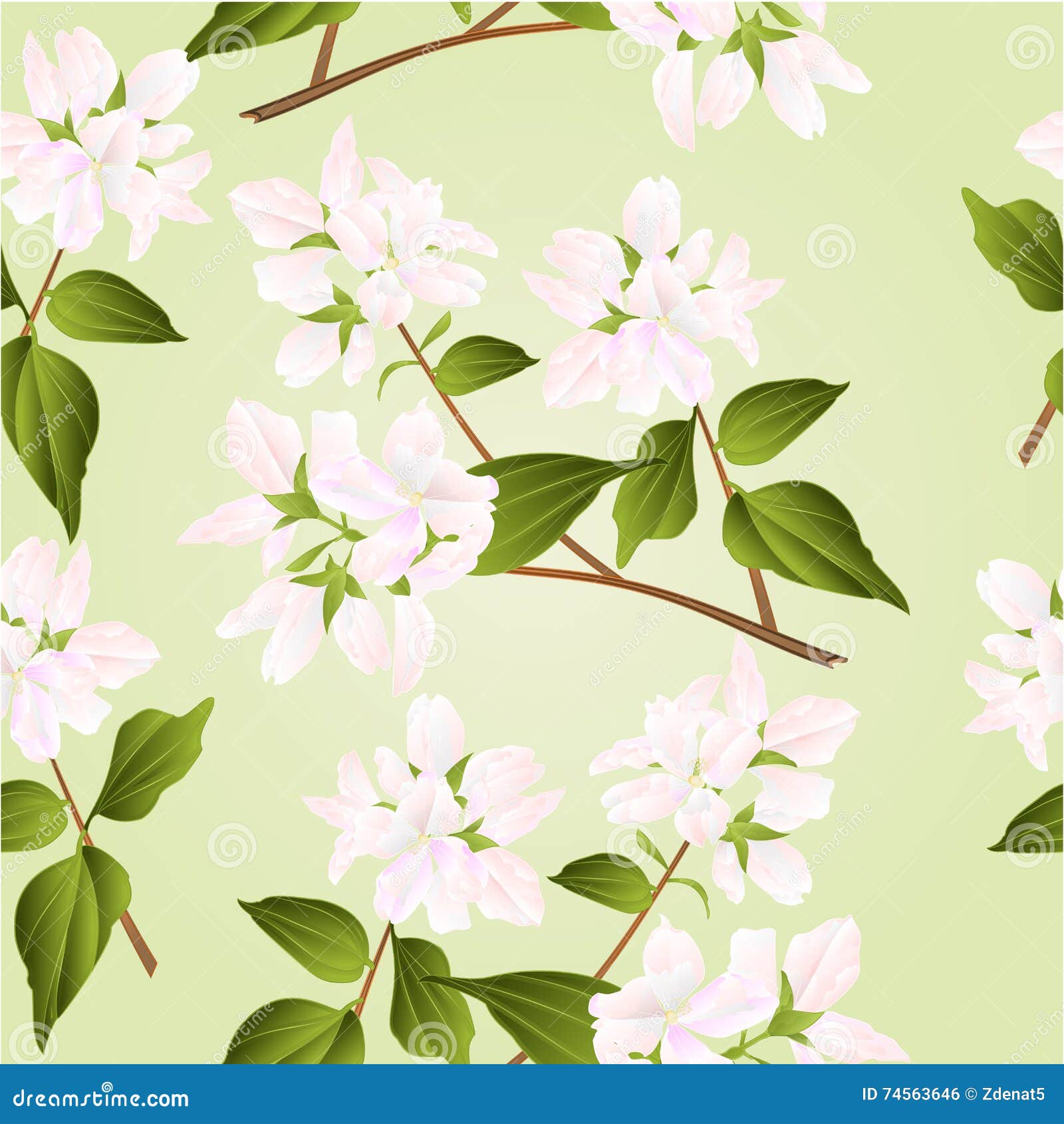 Seamless Texture Branches Decorative Shrub with White Flowers Vector ...