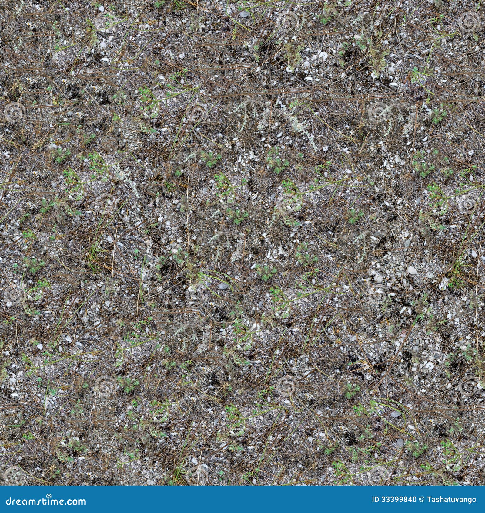 Seamless Texture of Coastal Land. Stock Photo - Image of pattern ...