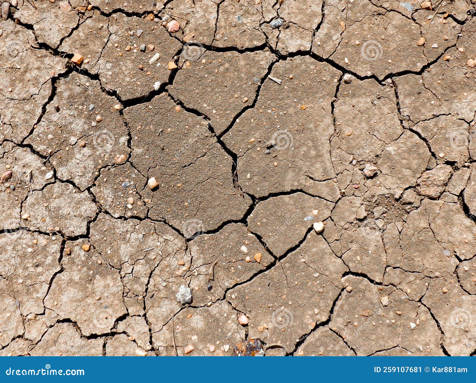 Seamless Texture Dried Mud Cracks, High Quality Stock Image - Image of ...